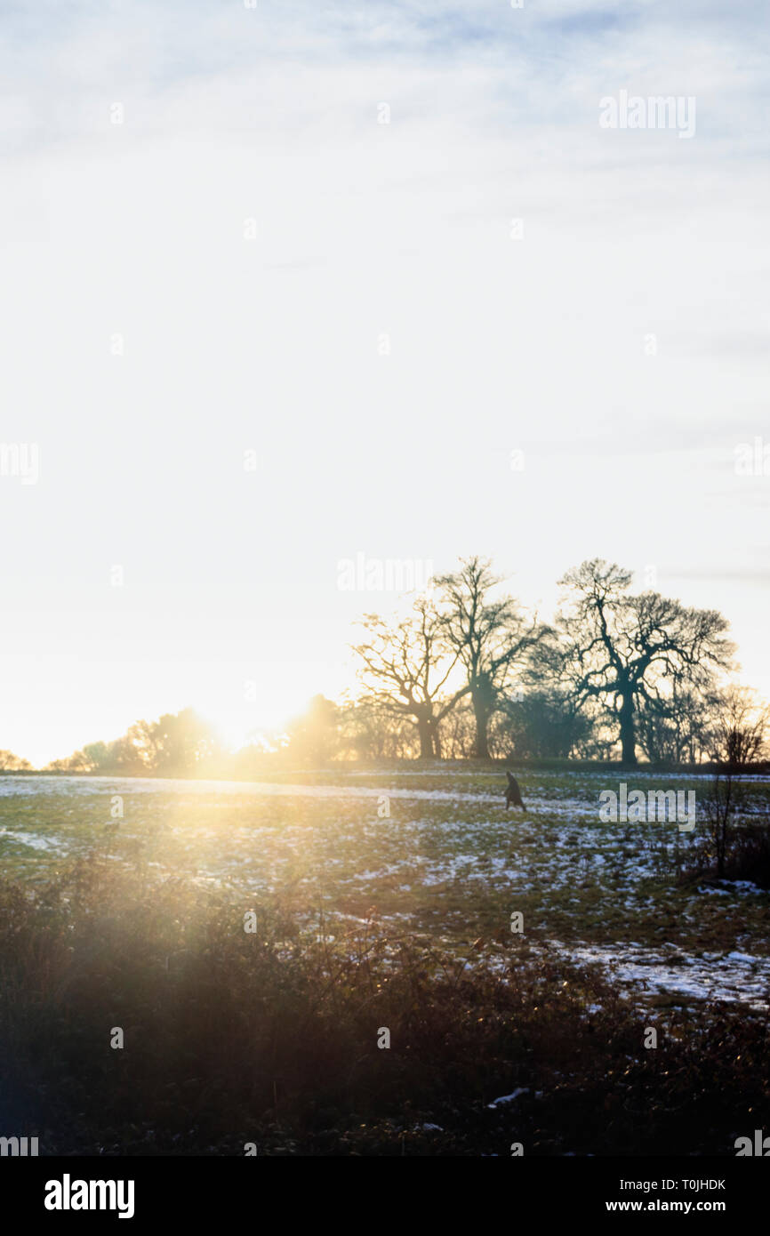 Distant figure hi-res stock photography and images - Alamy