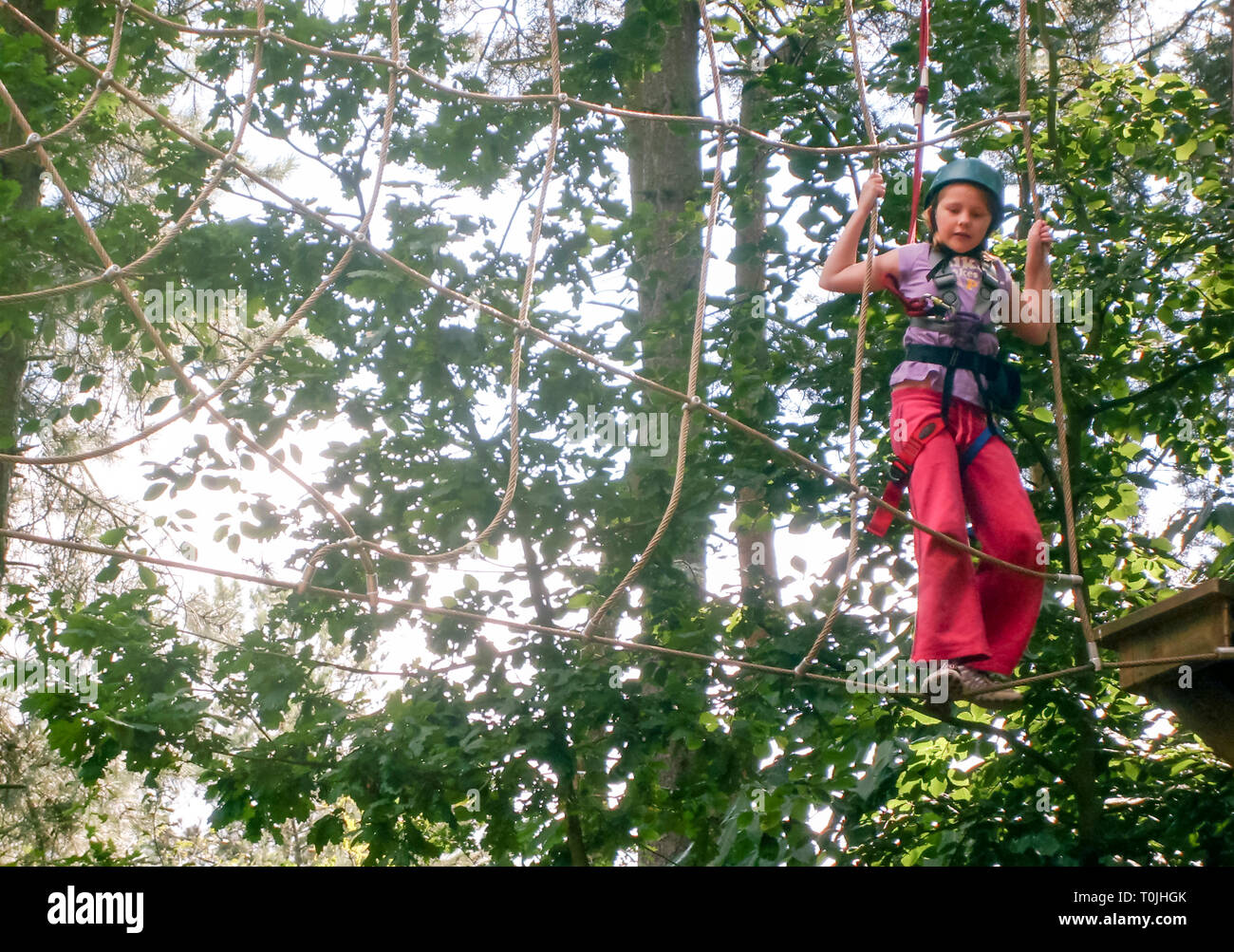 Scary looking trees hi-res stock photography and images - Alamy