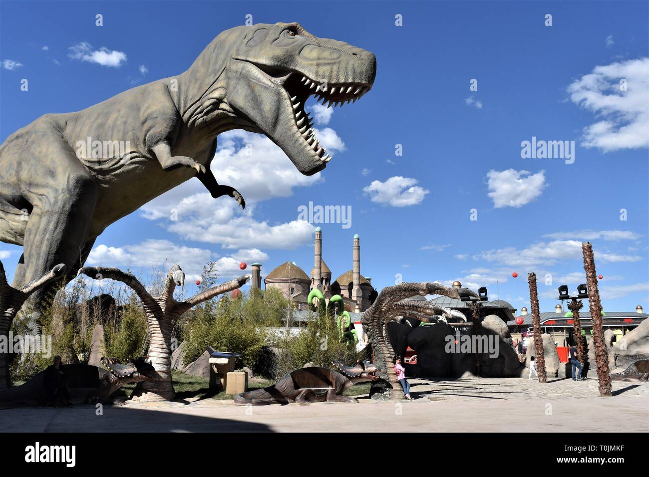 Ankara, Turkey. 20th Mar, 2019. A general view on the opening day of ...