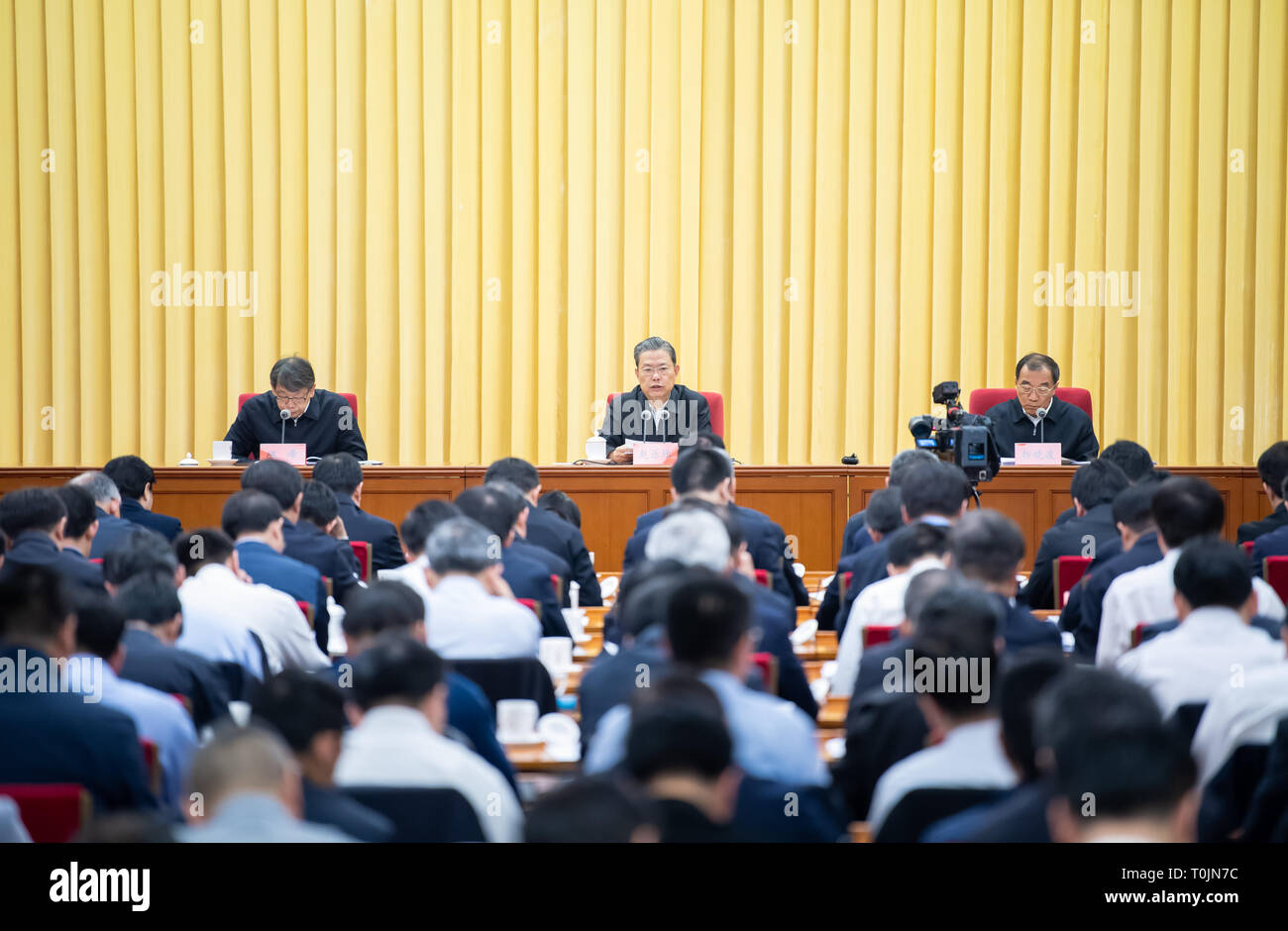 Disciplinary committee hi-res stock photography and images - Alamy