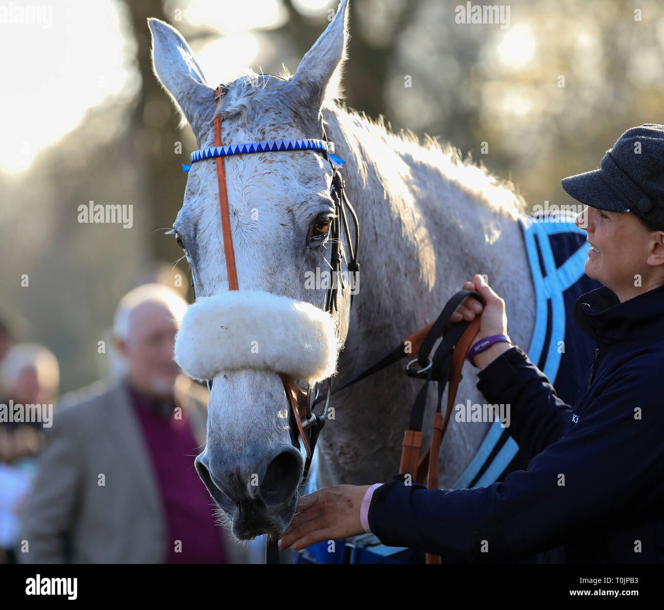 Haydock racecourse hi-res stock photography and images - Alamy