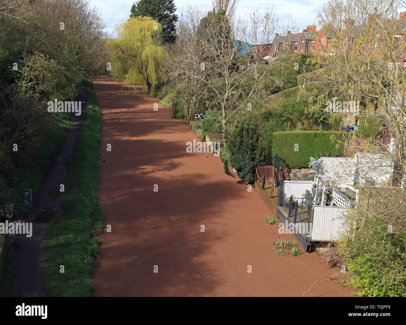 Canal looks like grass hi-res stock photography and images - Alamy