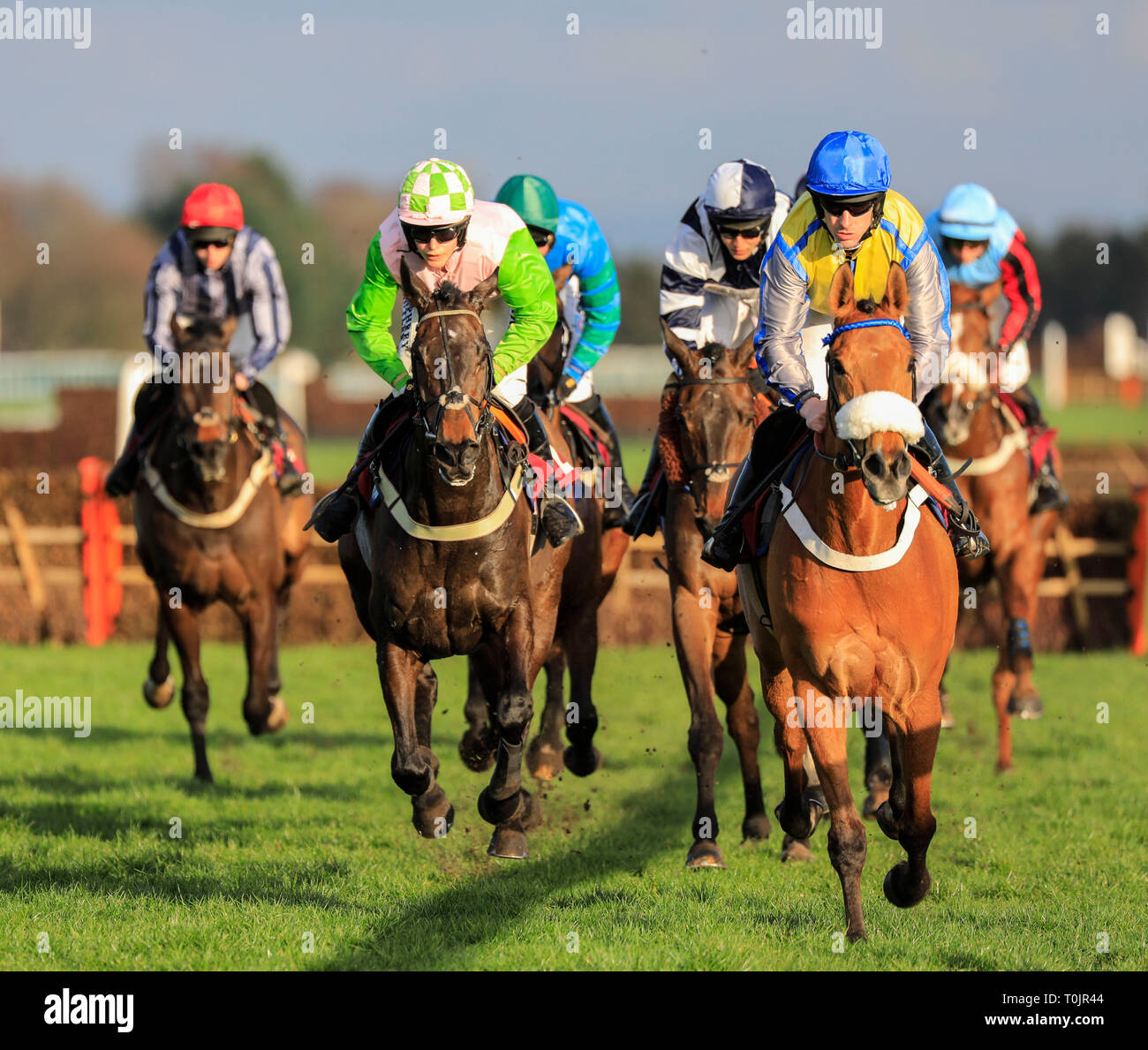 Haydock racecourse hi-res stock photography and images - Alamy