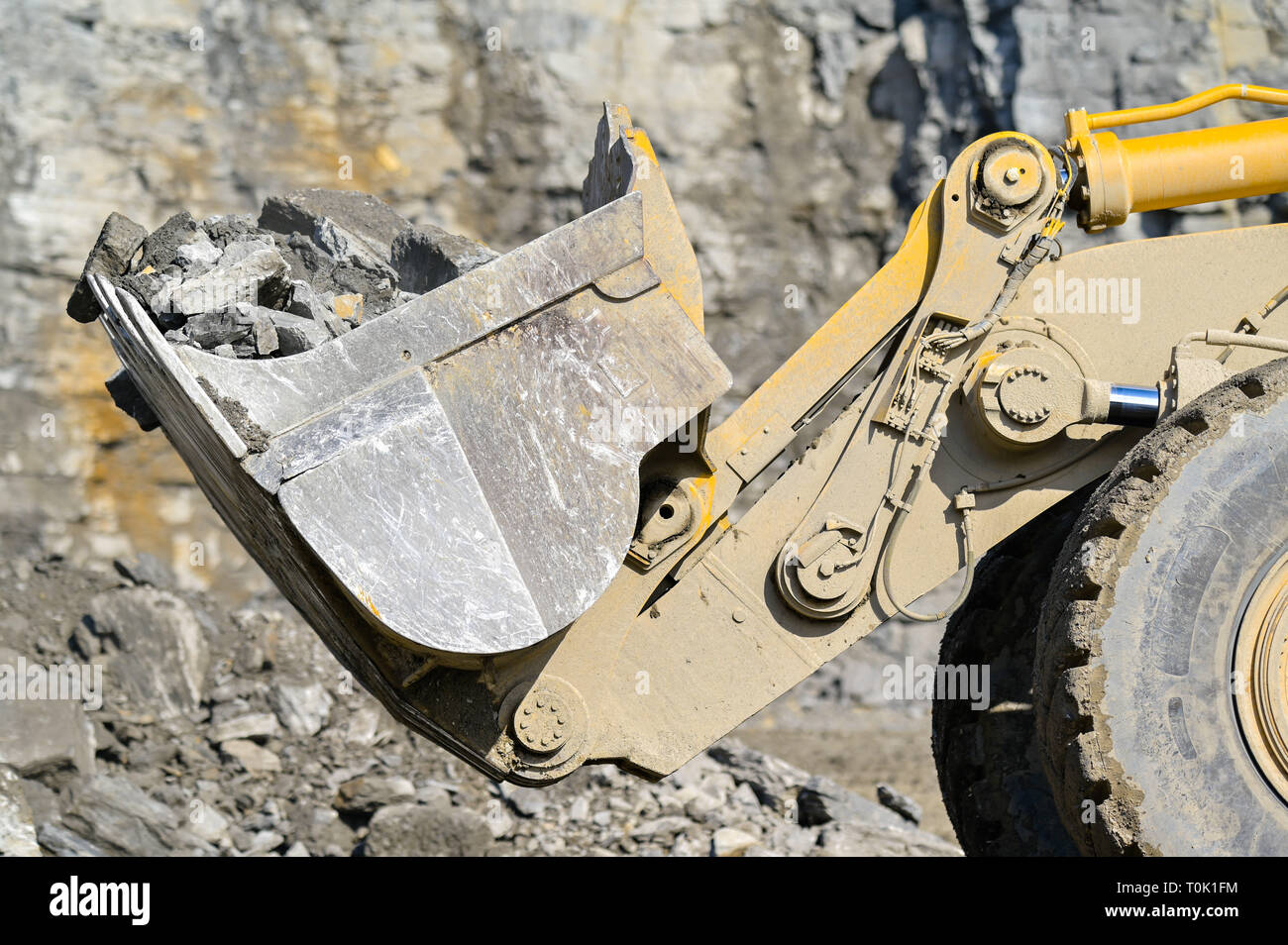 19 March 2019, Baden-Wuerttemberg, Nußloch: A wheel loader transports ...