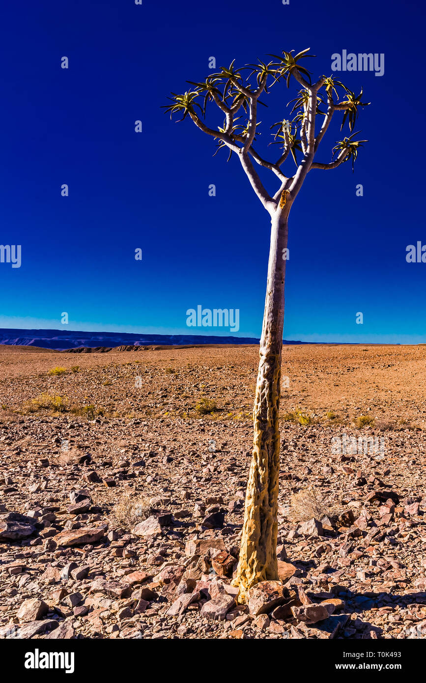 Fish River Canyon Stock Photo - Alamy