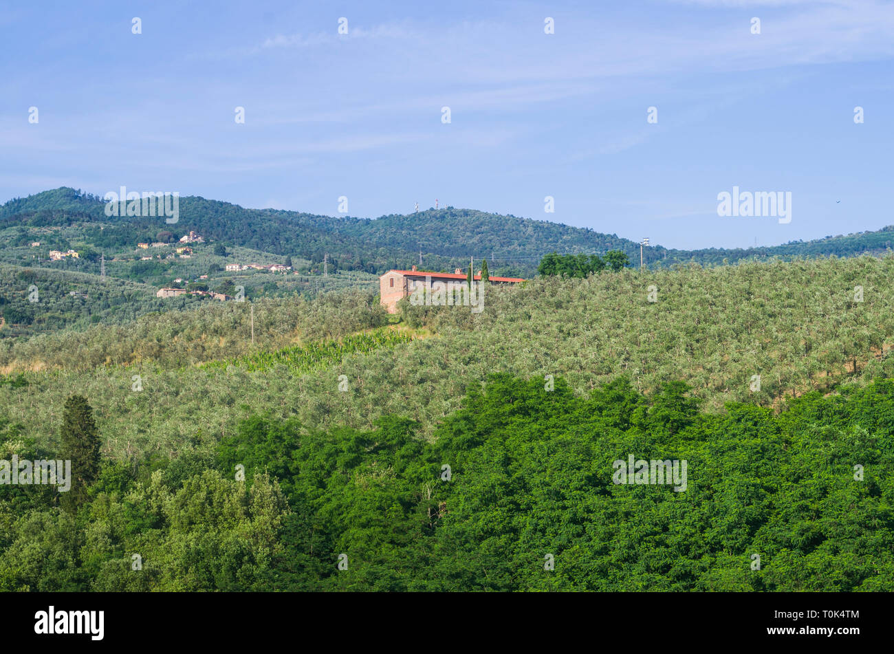 green Tuscan countryside with vineyards, olive groves, woods, farms and ...