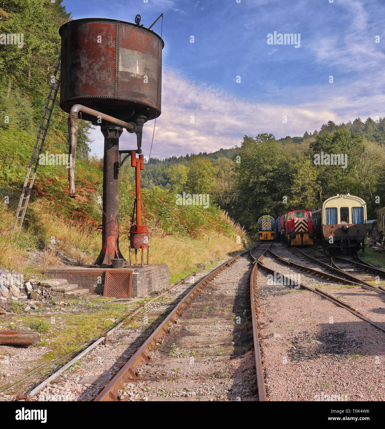 Dean forest railway hi-res stock photography and images - Alamy