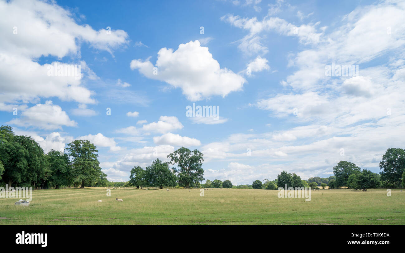 Sunny british landscape hi-res stock photography and images - Alamy