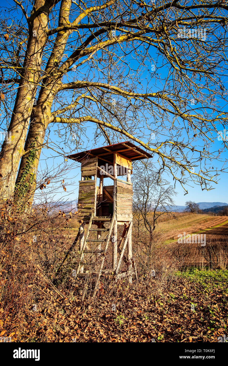 Tree Stand Hunt High Resolution Stock Photography and Images - Alamy