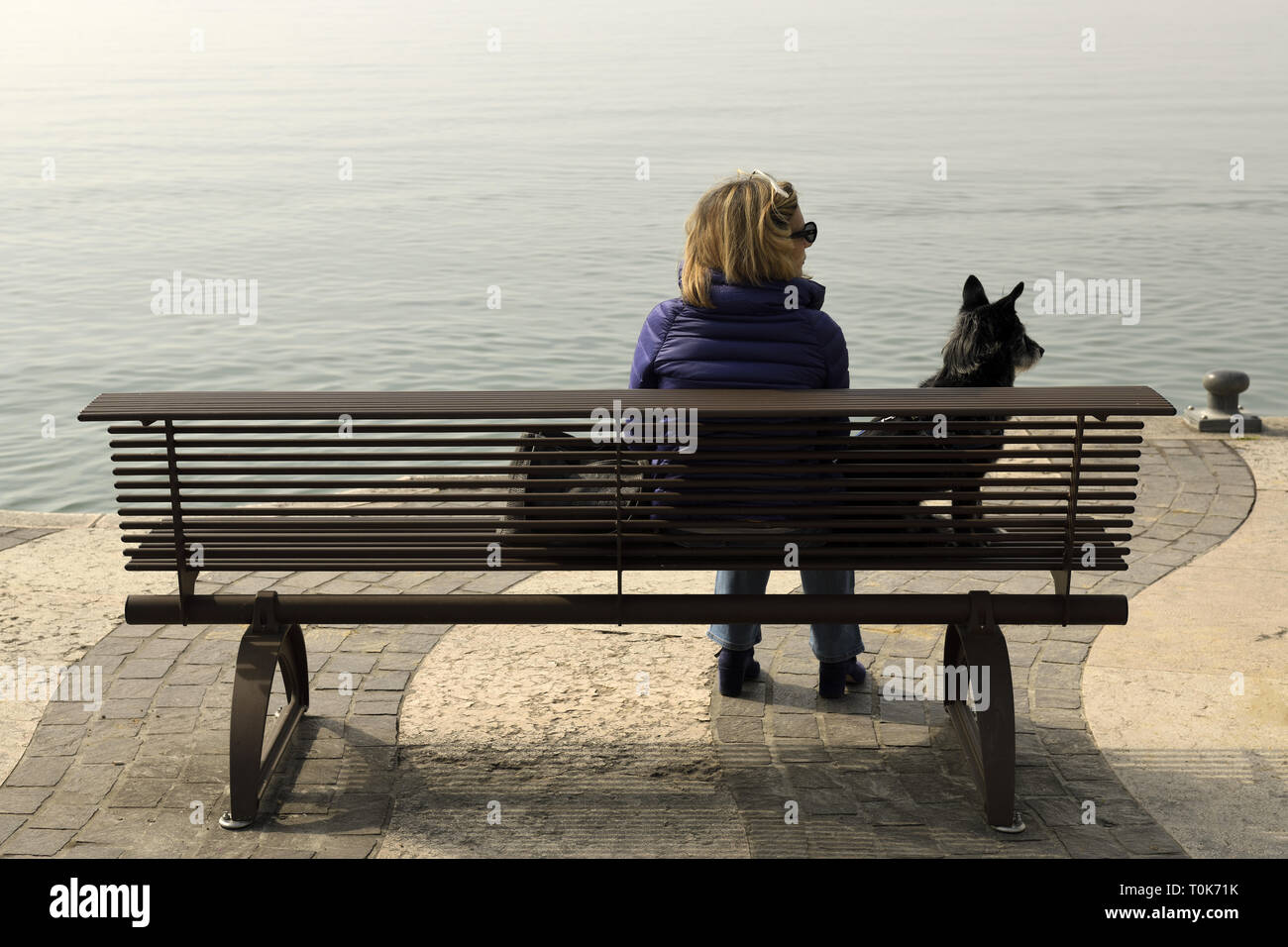 Lady bird lake and dog hi-res stock photography and images - Alamy