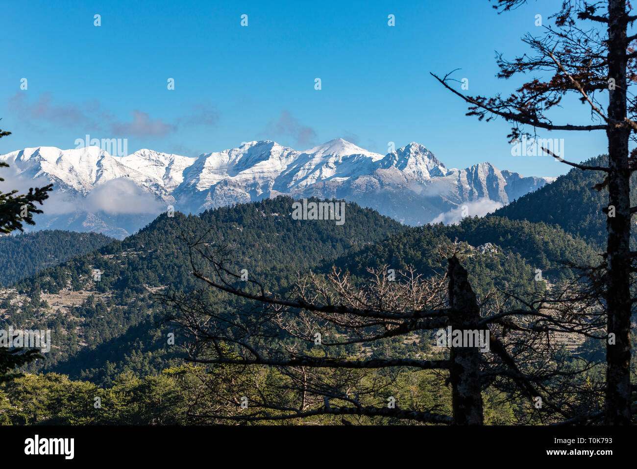 Verga hi-res stock photography and images - Alamy