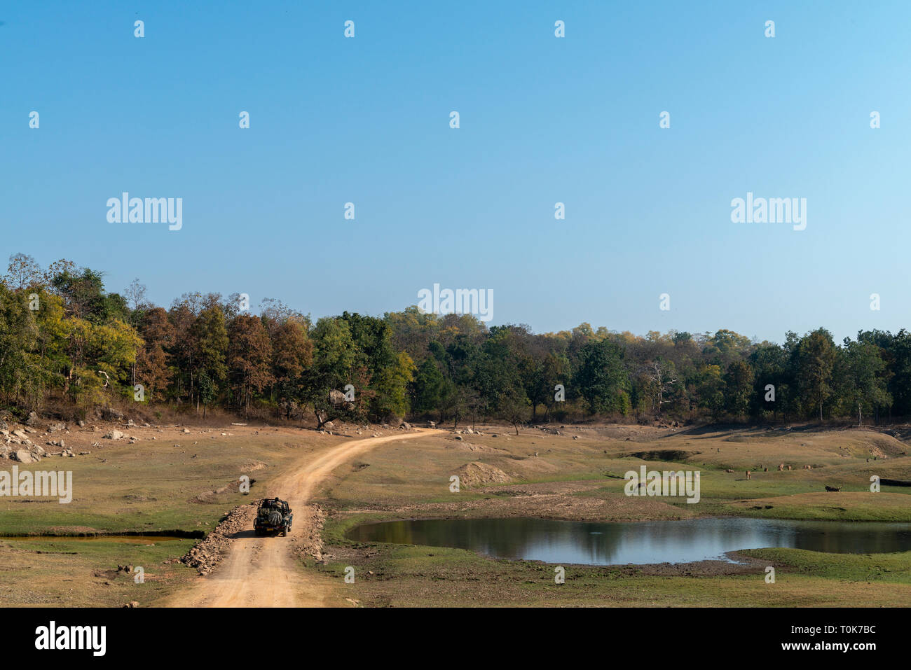 Pench national park hi-res stock photography and images - Alamy
