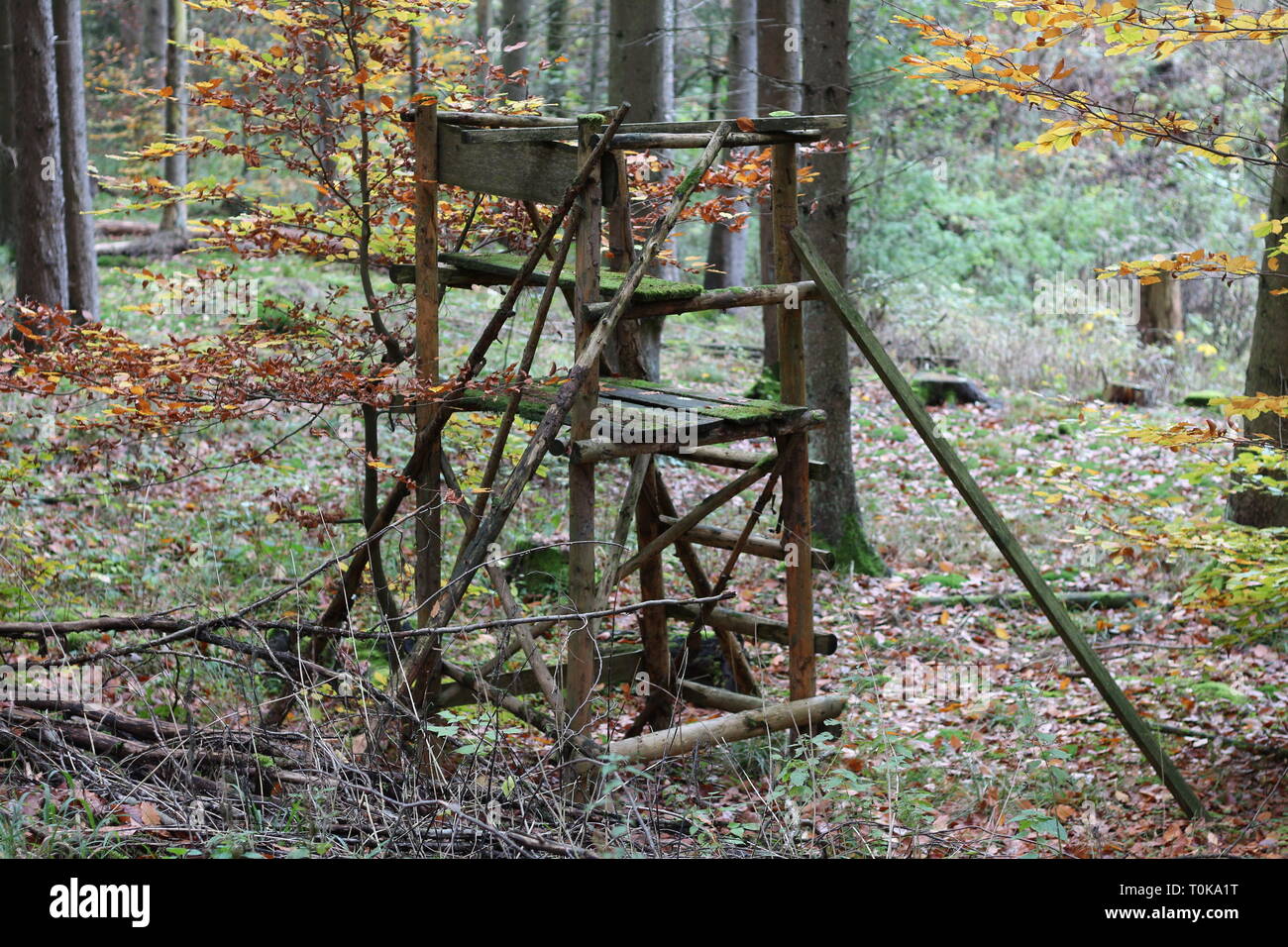 Tenants of the trees hi-res stock photography and images - Alamy