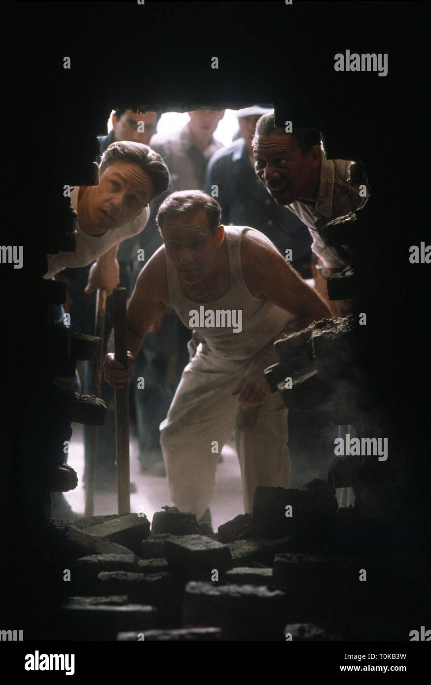 The Shawshank Redemption Tim Robbins High Resolution Stock Photography ...