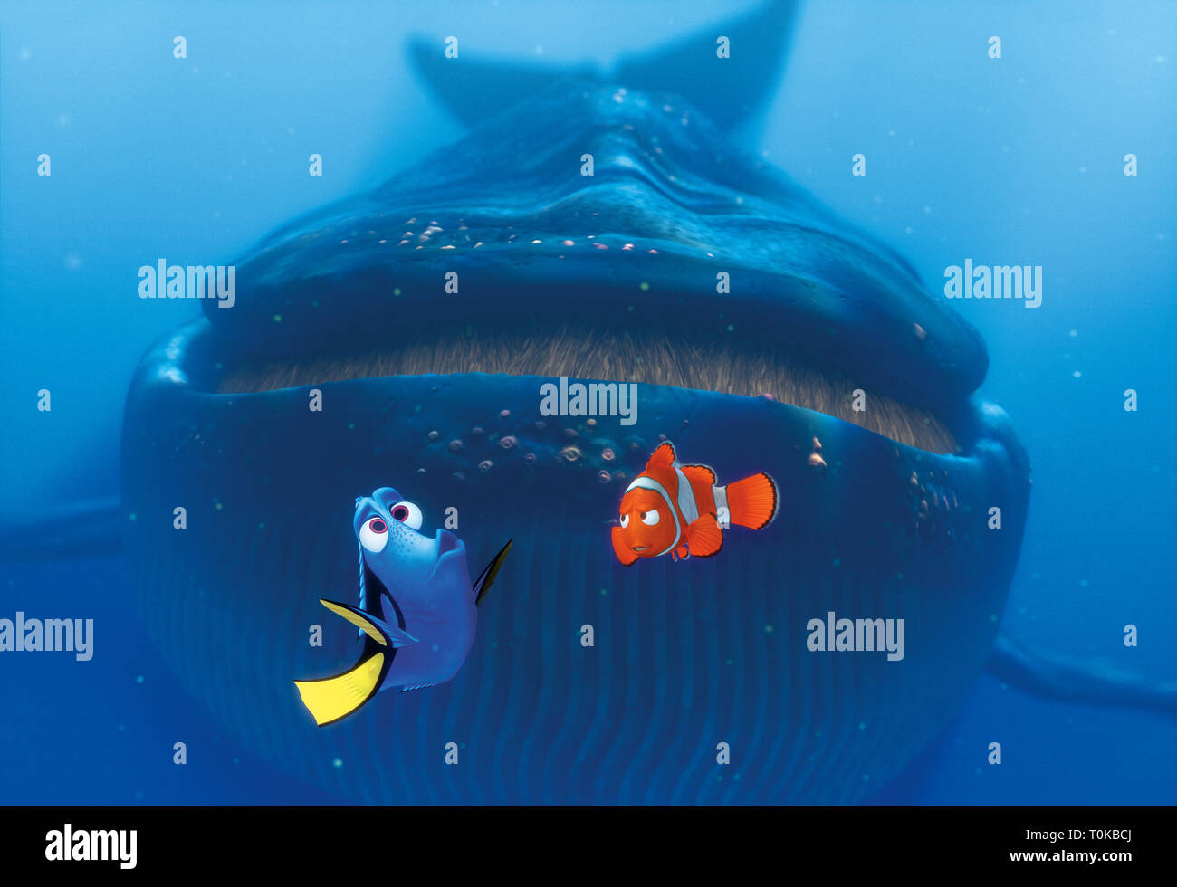 Whale Finding High Resolution Stock Photography and Images - Alamy