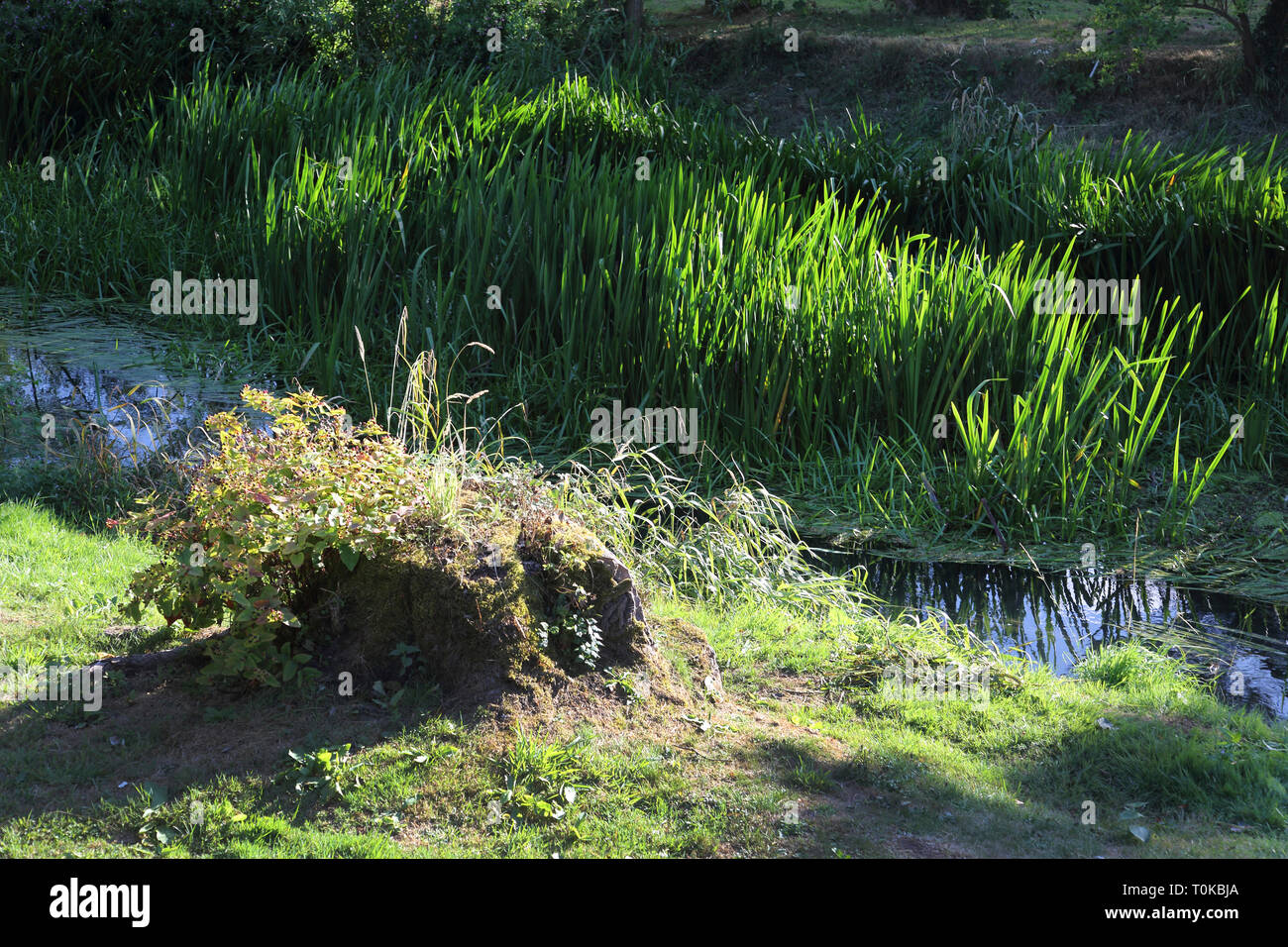 Gillingham hi-res stock photography and images - Alamy