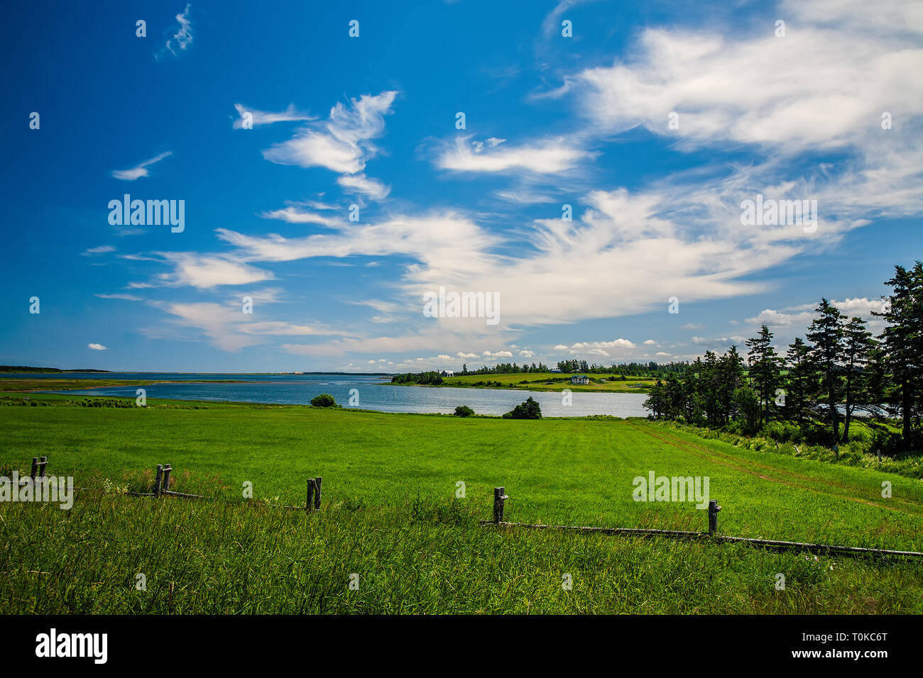 Lush farmland horizon hi-res stock photography and images - Alamy