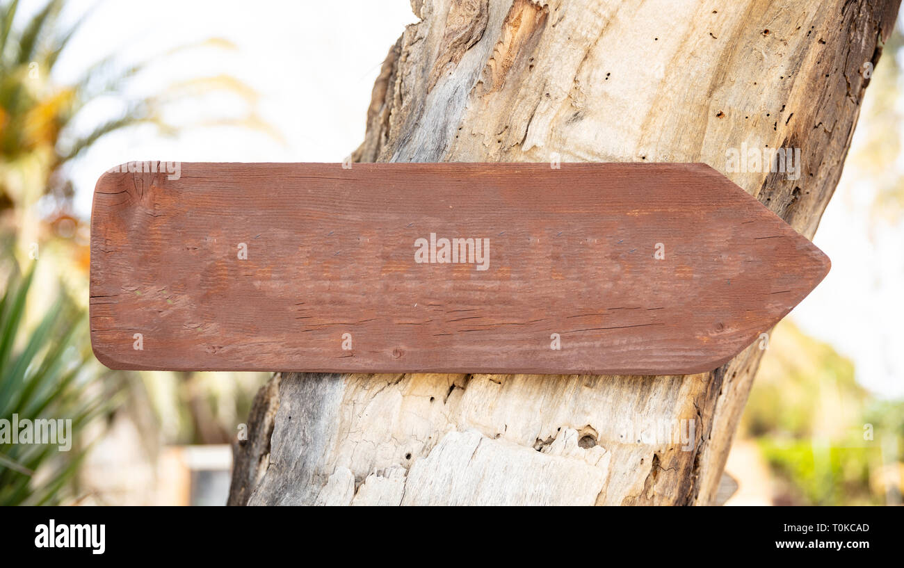 Direction arrow sign. Empty wooden pointer on a tree trunk, closeup ...