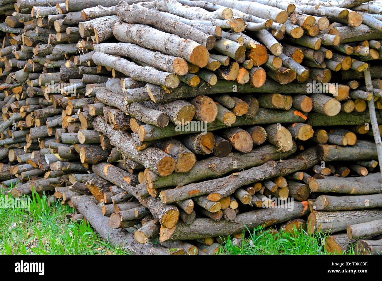 Big bunch of cut fire wood logs Stock Photo - Alamy