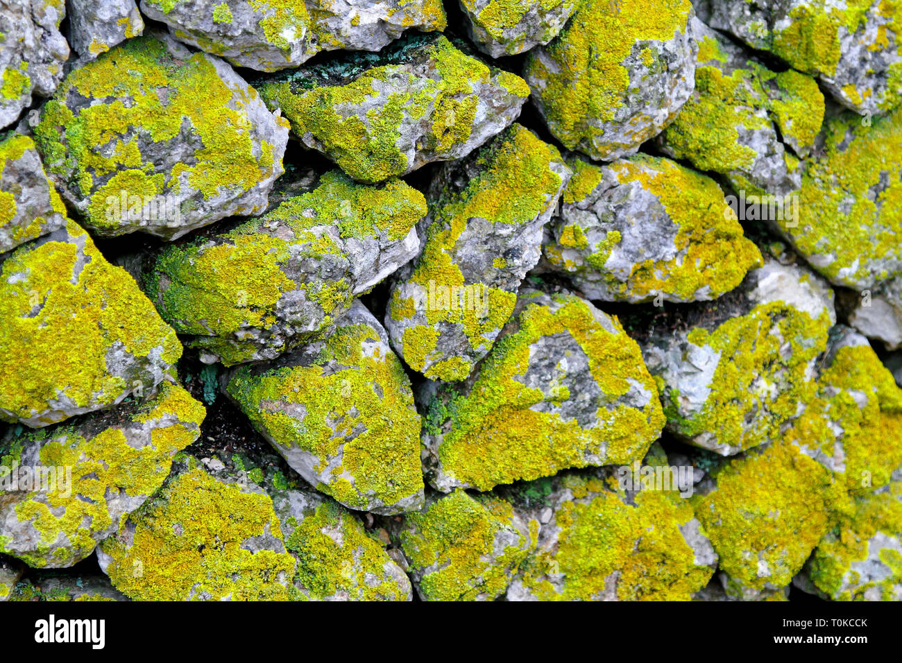 Very old stone wall covered with moss Stock Photo - Alamy