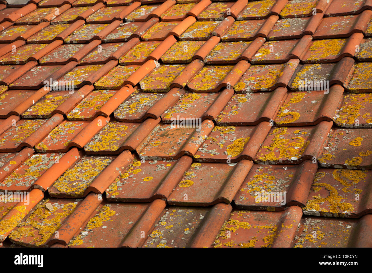 Red pantiles tiles hi-res stock photography and images - Alamy