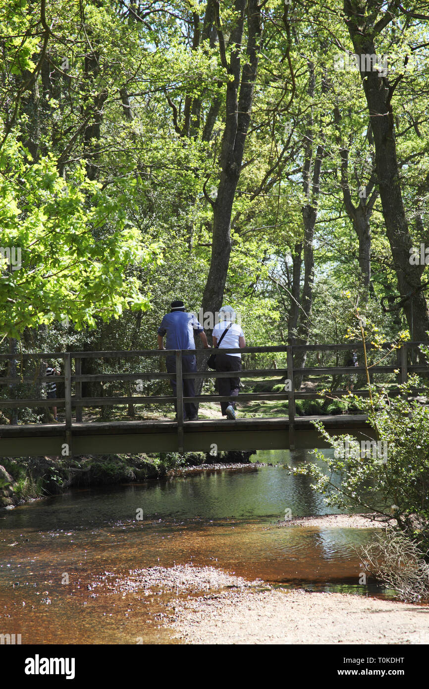 Footbridge over ober water hi-res stock photography and images - Alamy