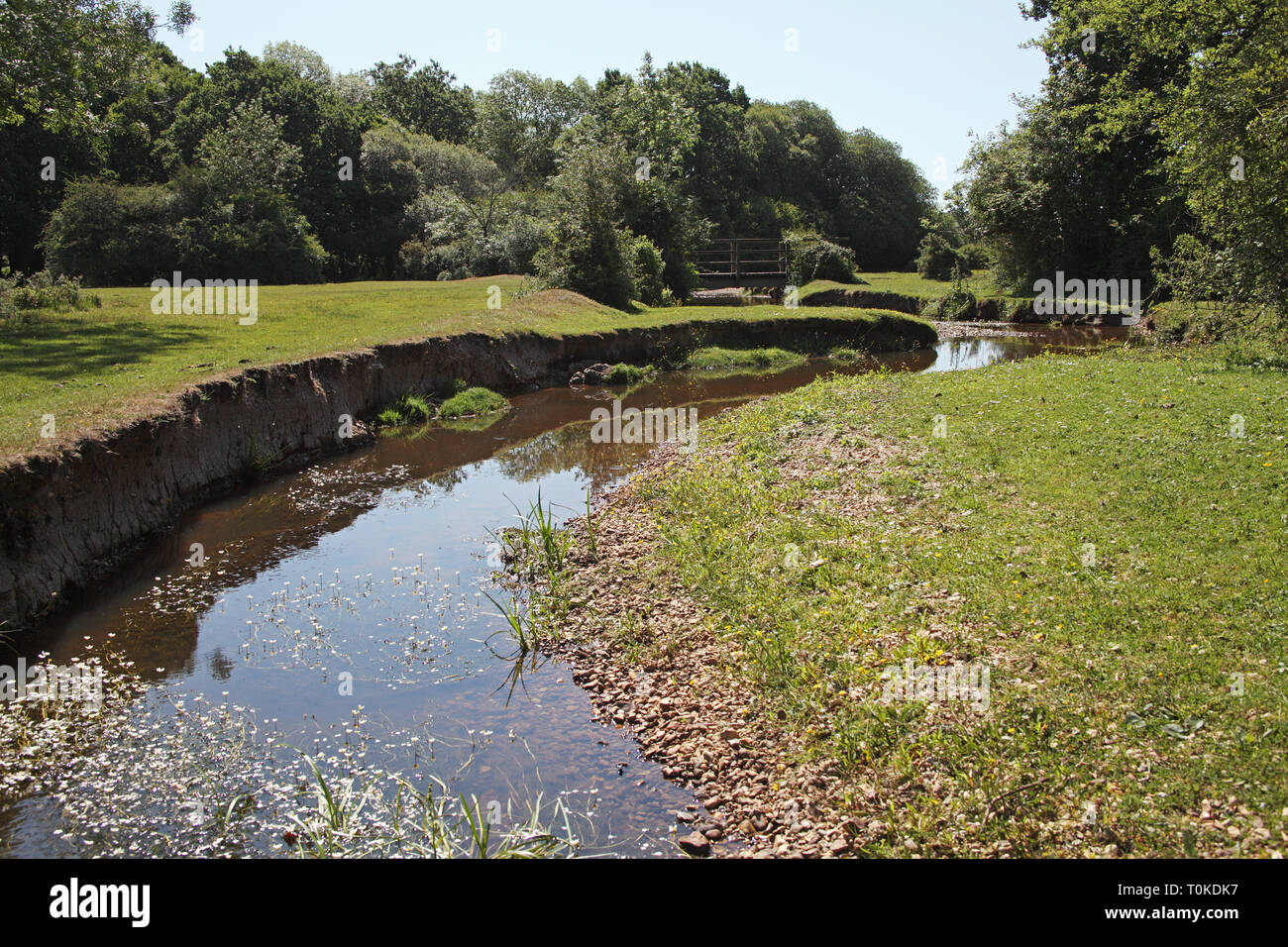 Mill Lawn Brook near Burley New Forest National Park England UK Stock ...
