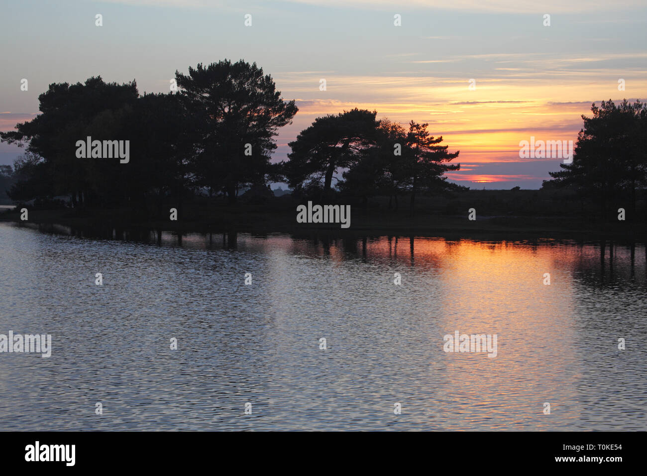 Hatchet pond New Forest National Park Hampshire England UK Stock Photo ...