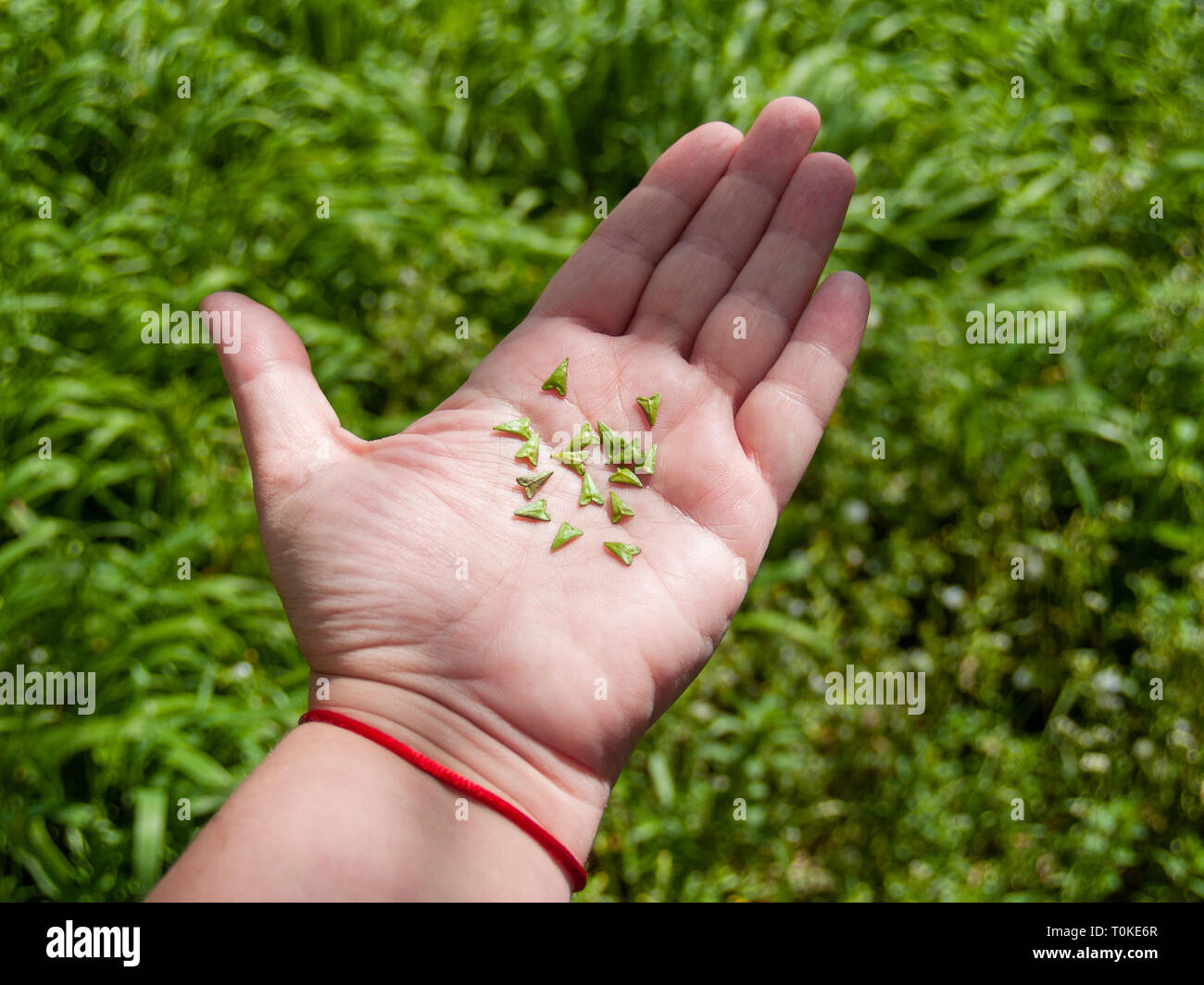 Person shaped hi-res stock photography and images - Alamy