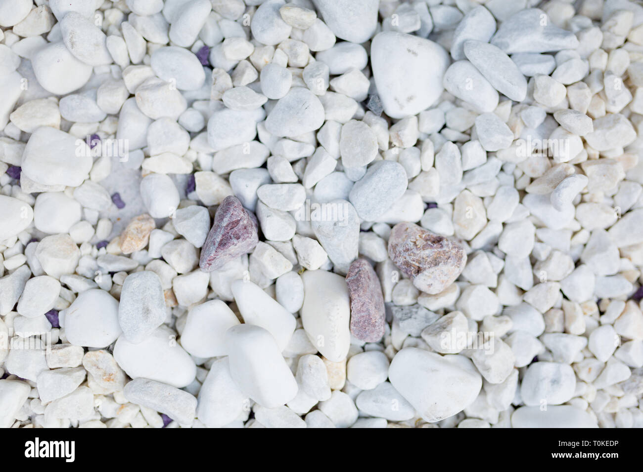 Shining smooth natural white stones for use as background Stock Photo ...
