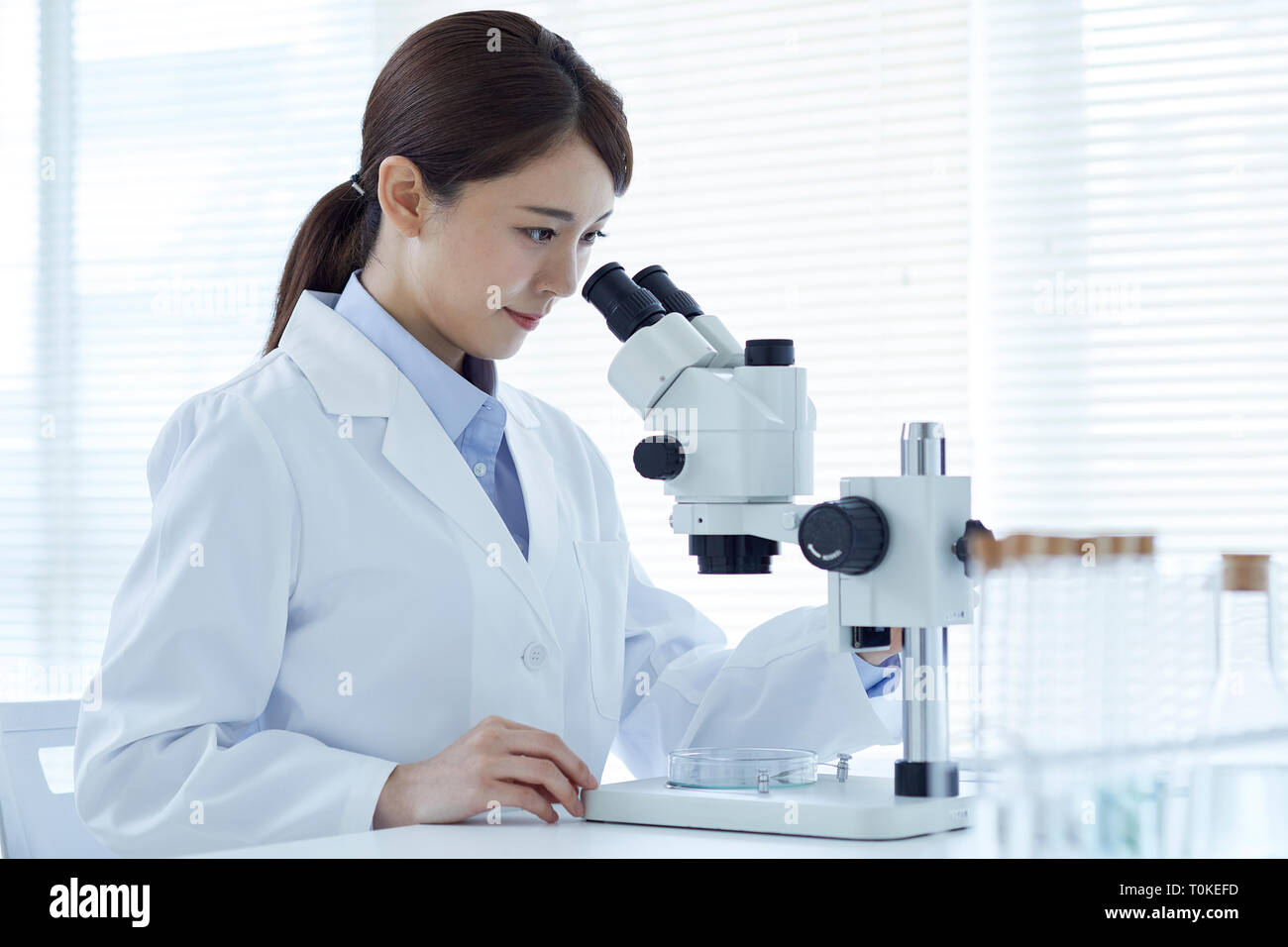 Young scientist lab japan hi-res stock photography and images - Alamy