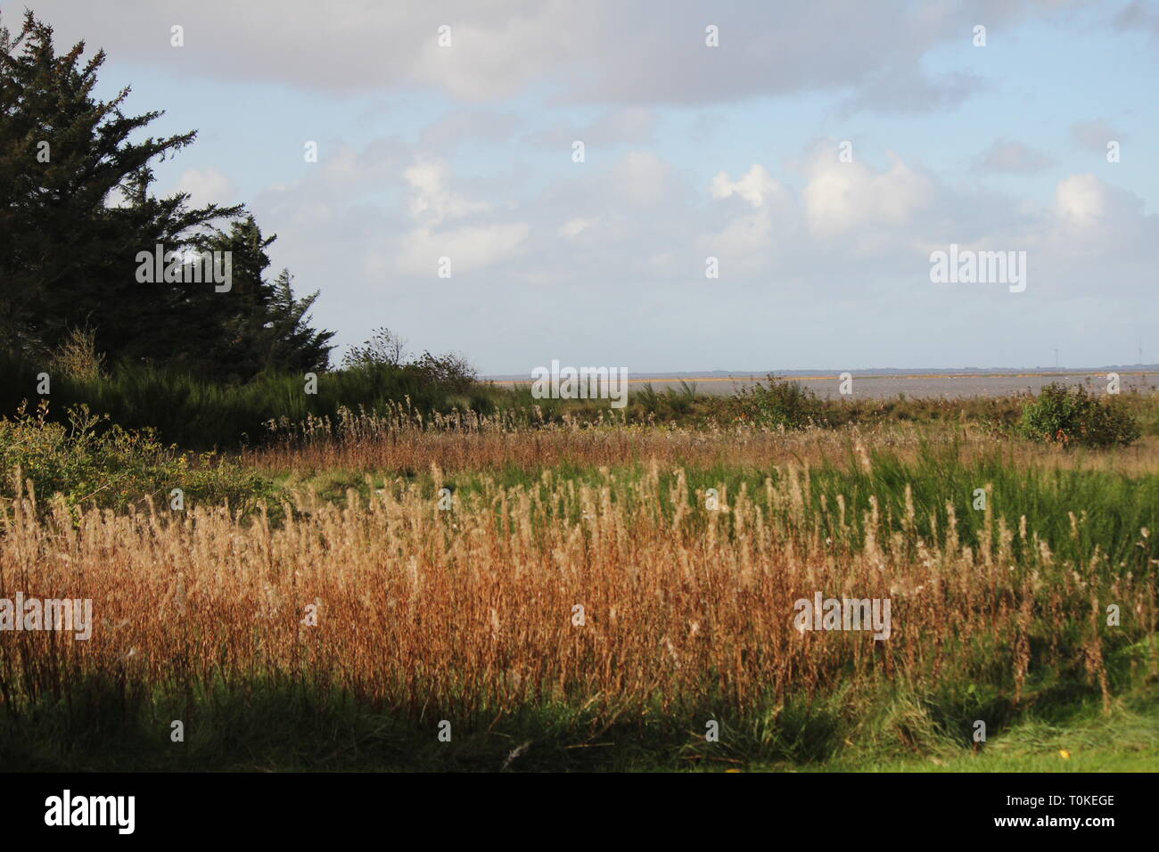 Danish landscape hi-res stock photography and images - Alamy