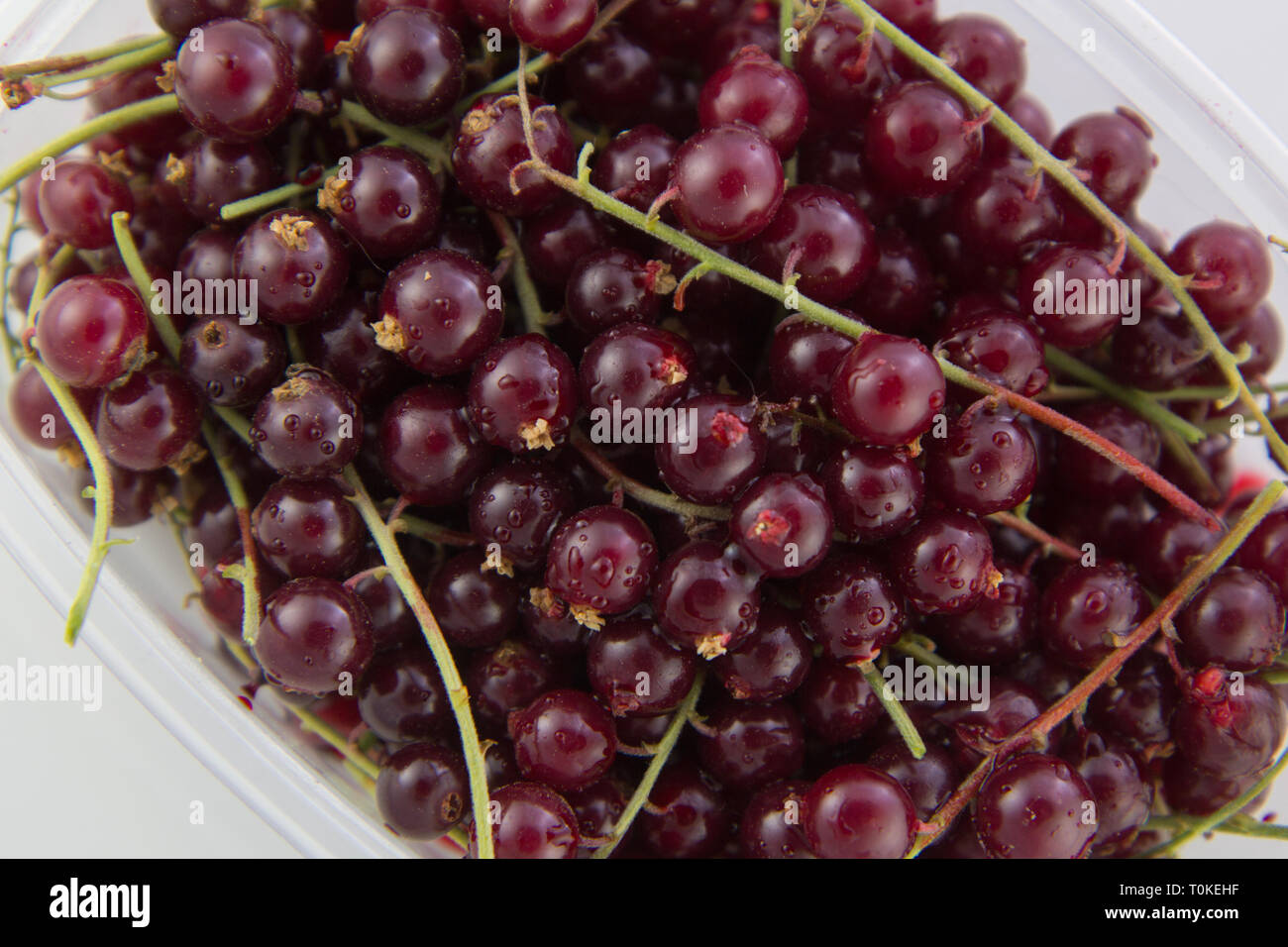Red currants in container Stock Photo - Alamy