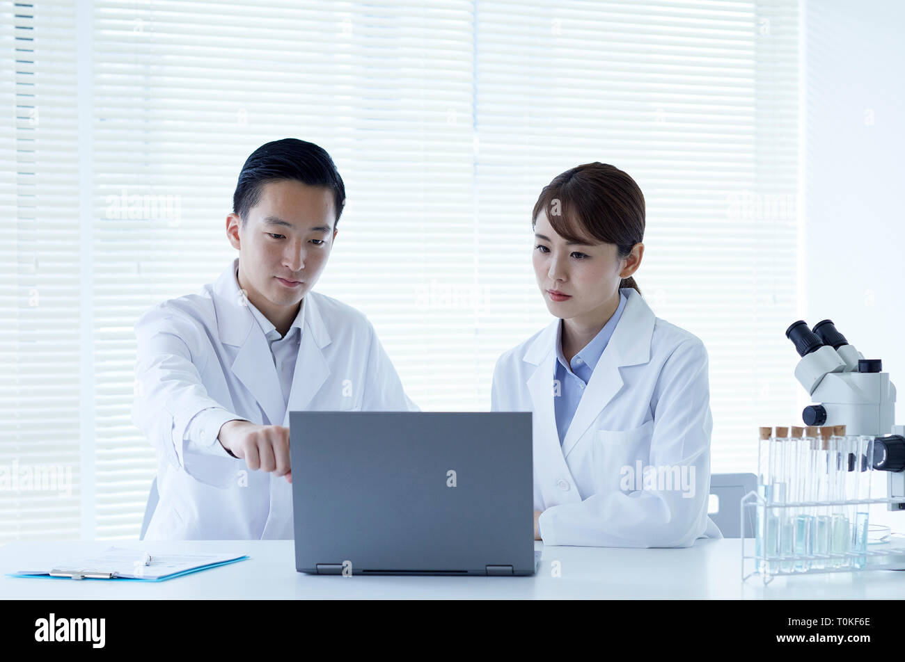 Japanese researchers in the lab Stock Photo - Alamy