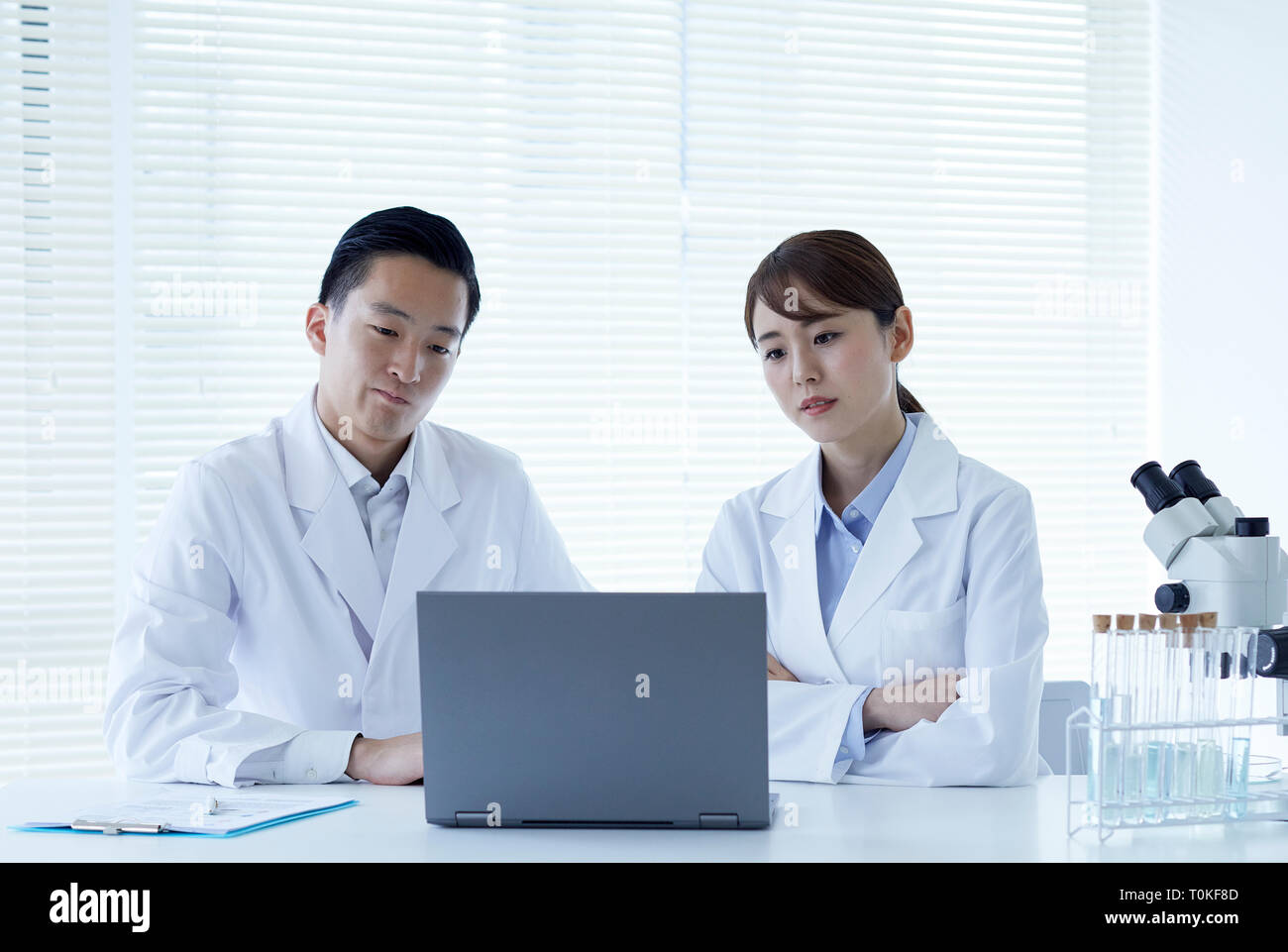 Japanese researchers in the lab Stock Photo - Alamy