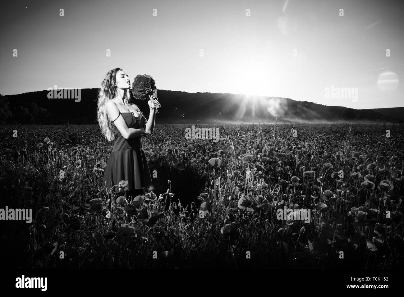 drug and love intoxication, woman in field of poppy seed Stock Photo ...