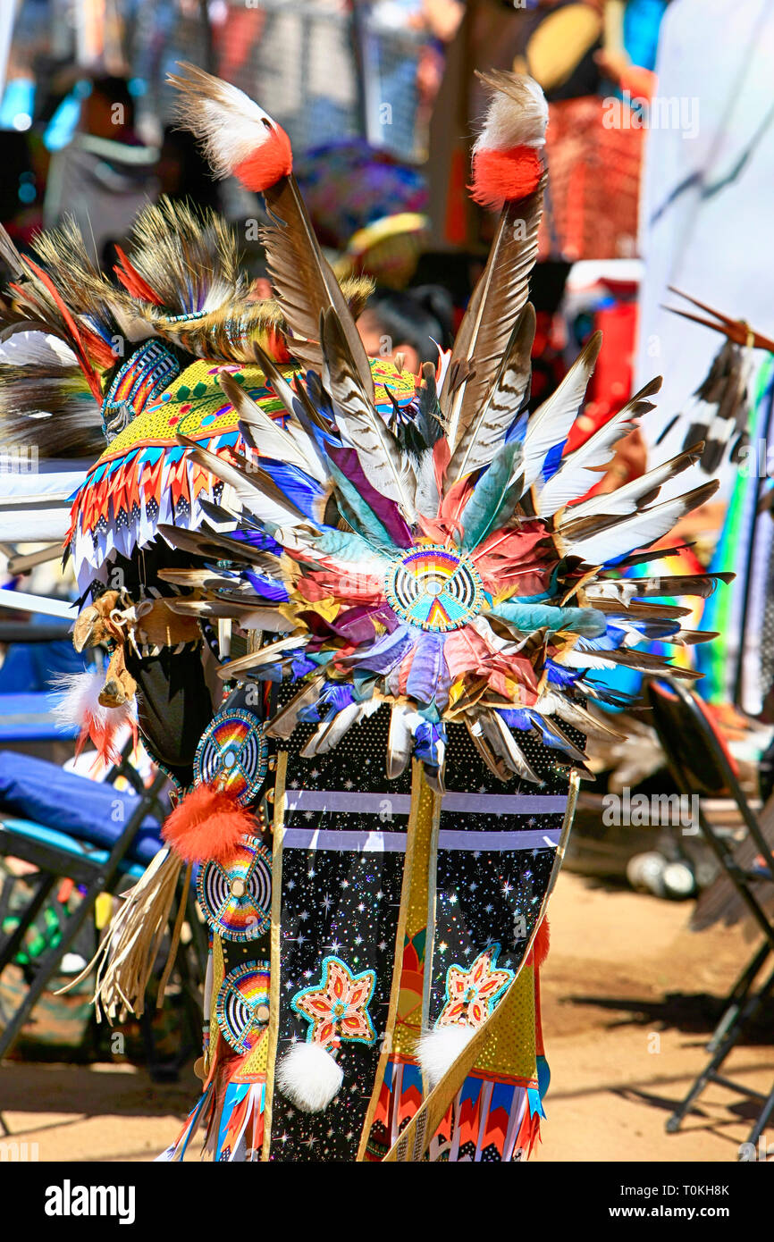 Male Native America warriors in ceremonial costumes at the Wa:k Pow Wow ...