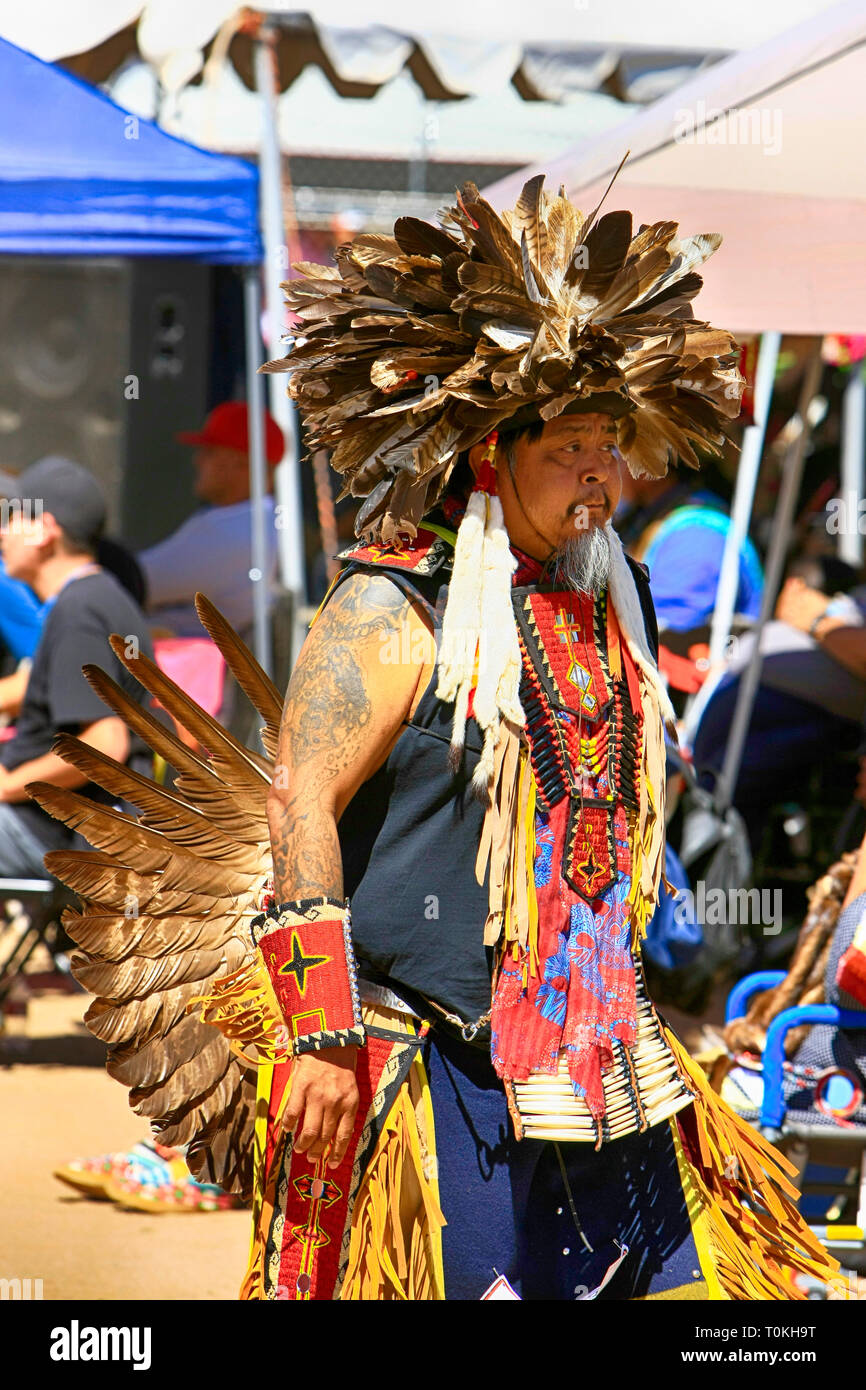 Arizona native hi-res stock photography and images - Alamy