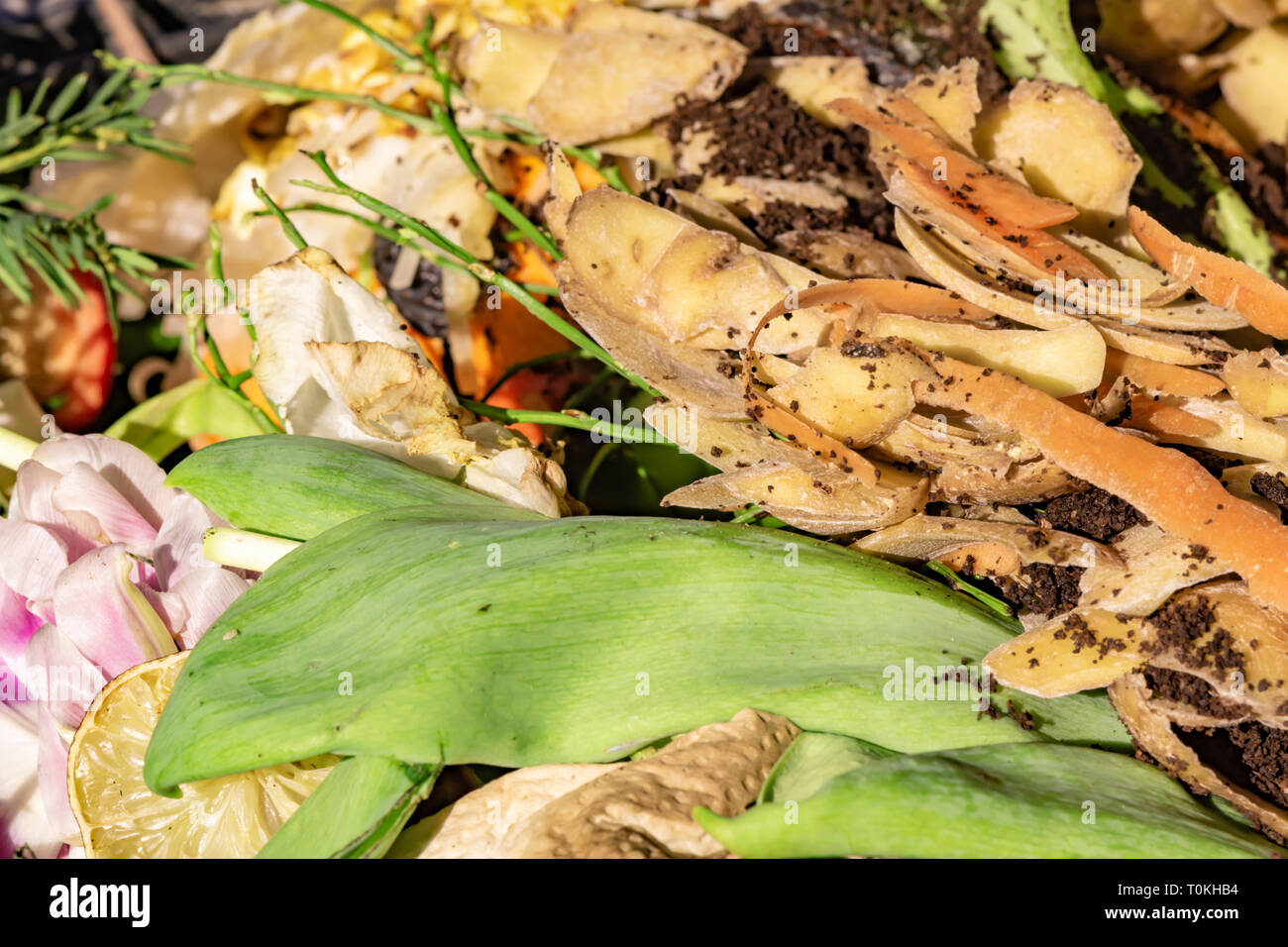 View into a bio container with various organic wastes for recycling ...
