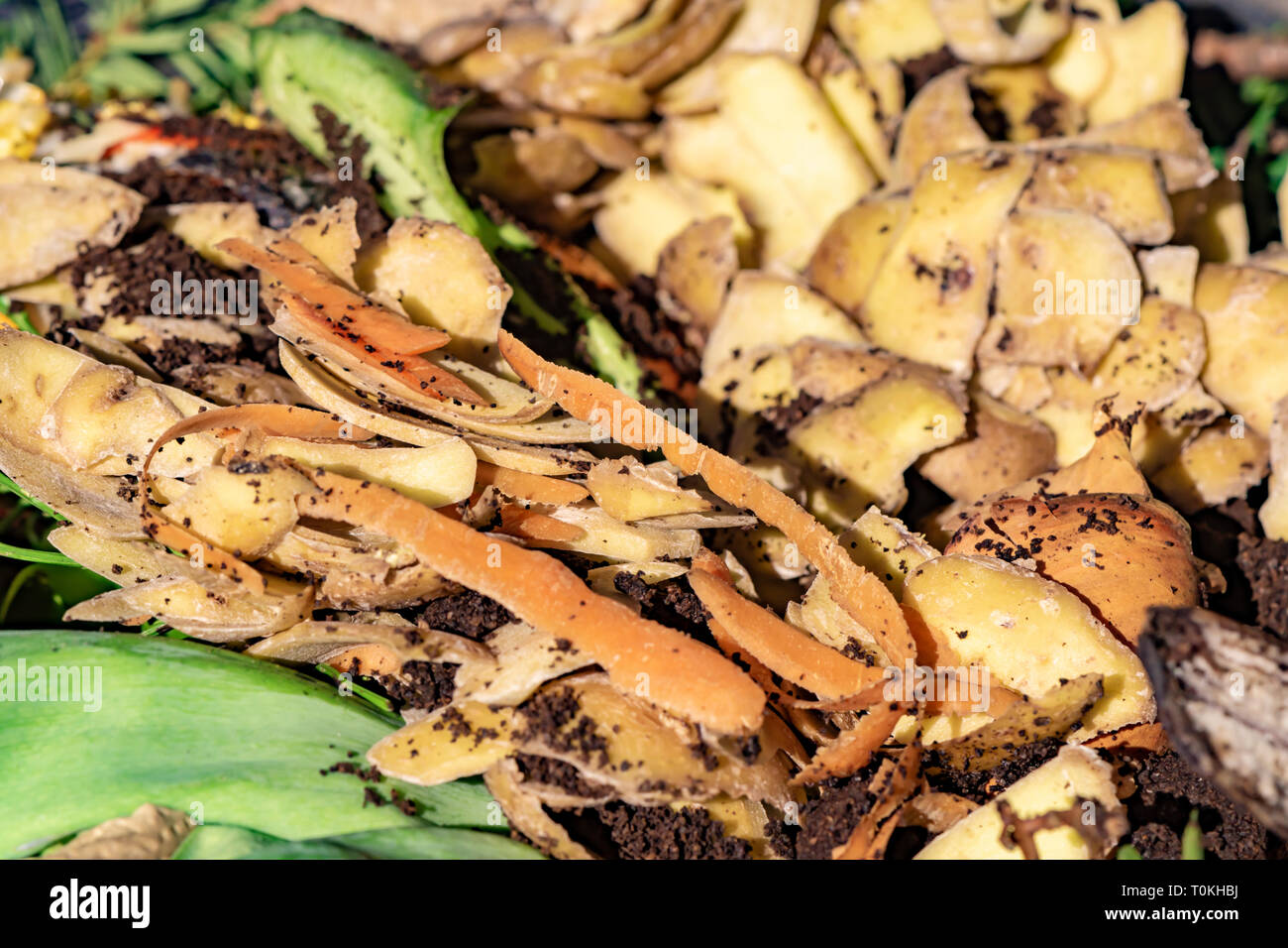 View into a bio container with various organic wastes for recycling ...