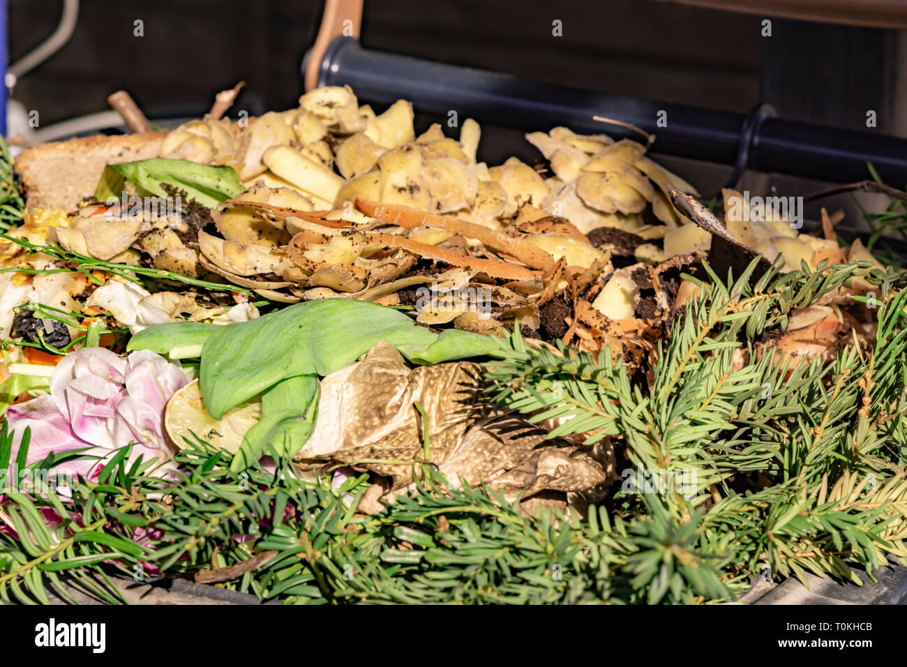 View into a bio container with various organic wastes for recycling ...