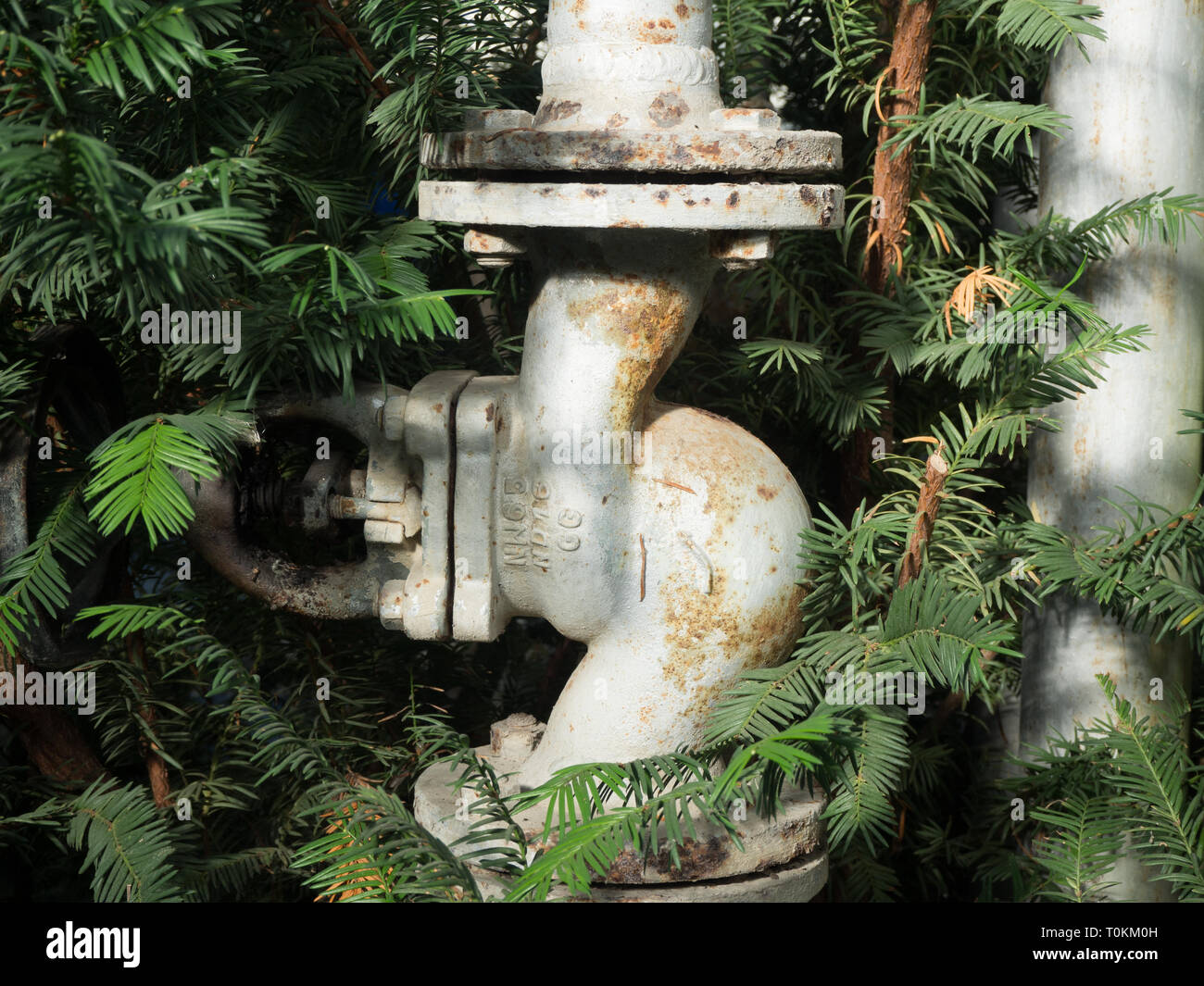 Old water pipe Stock Photo - Alamy
