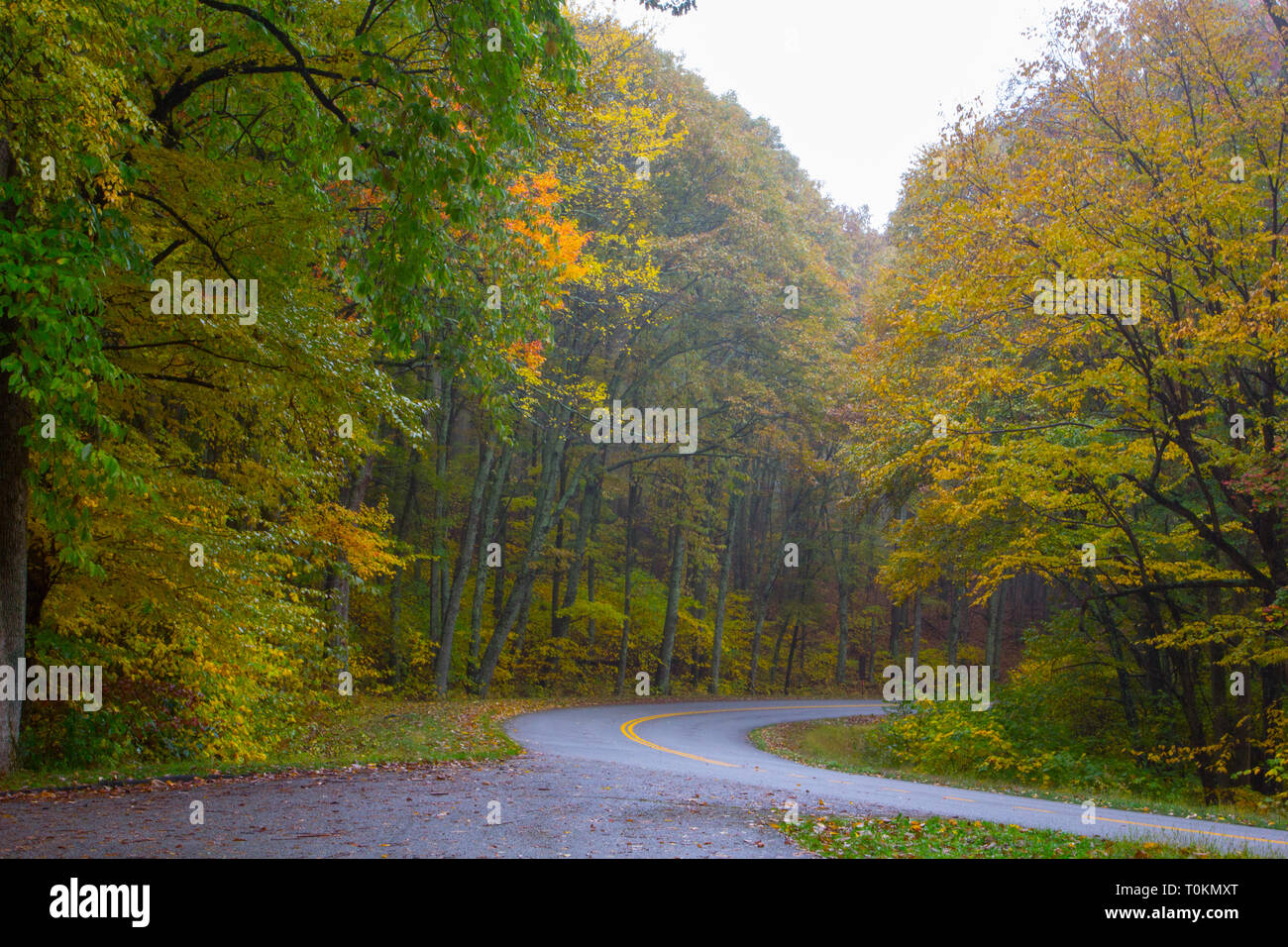 Blue Ridge Parkway in Autumn, Virginia Stock Photo - Alamy