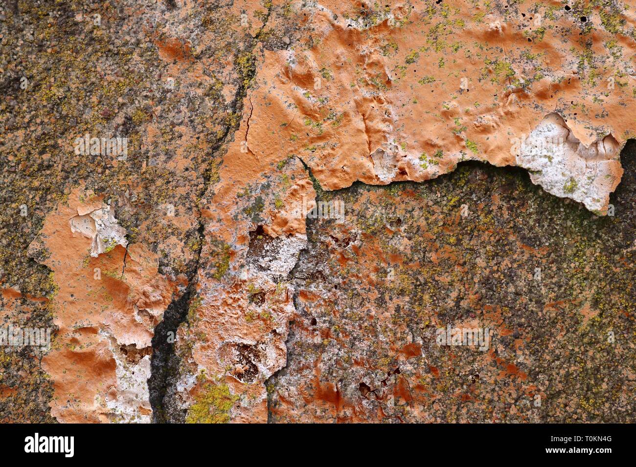 Close up detailed surface of weathered paint on different walls in high ...