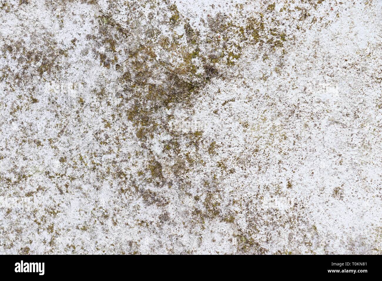 Close up detailed surface of weathered paint on different walls in high ...