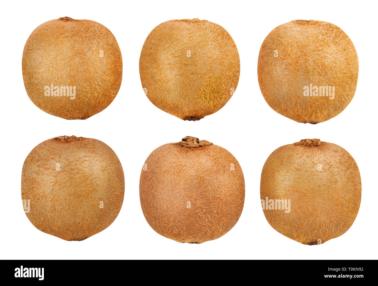 kiwi fruit path isolated Stock Photo - Alamy