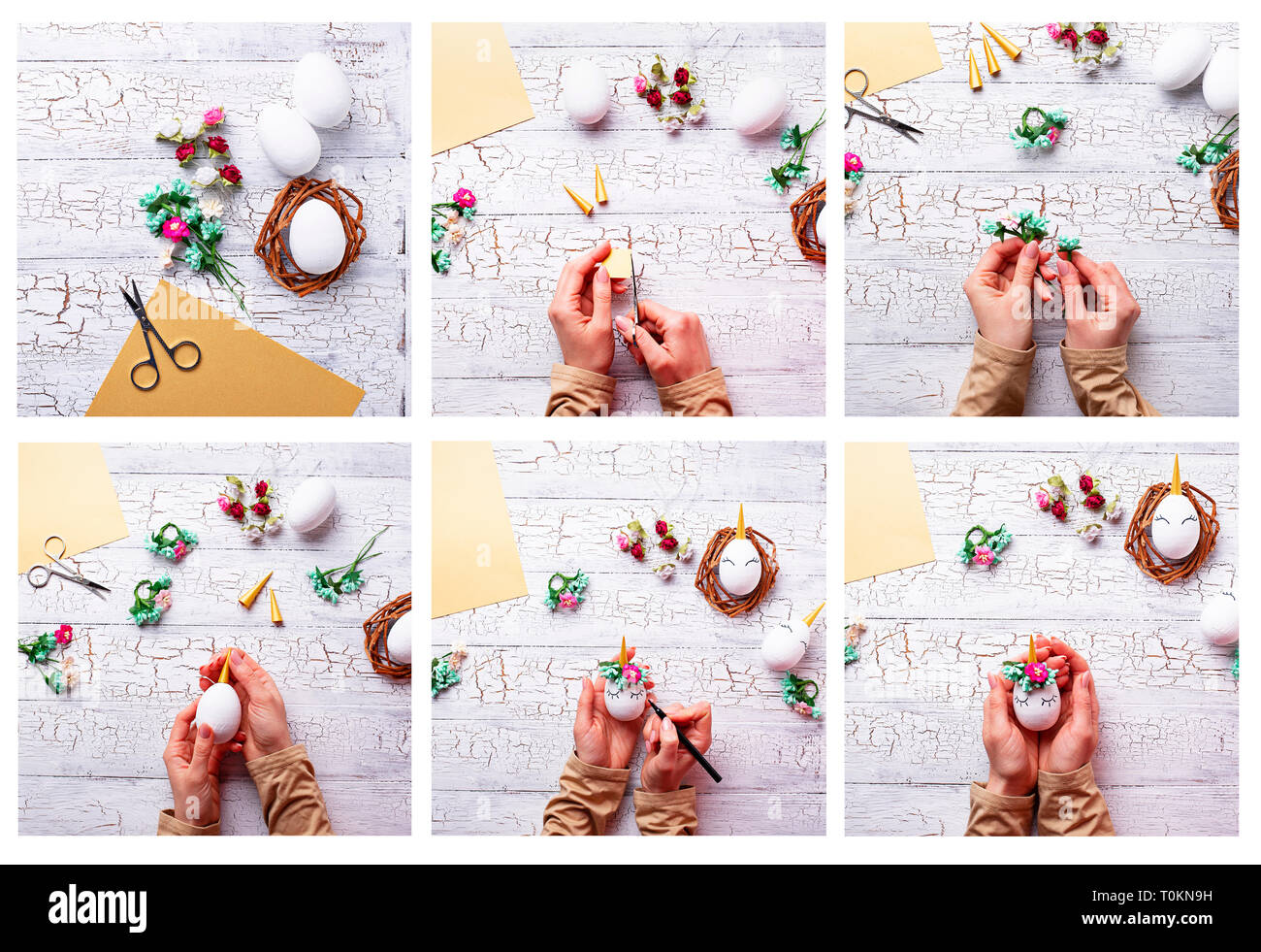 Diy process Cut Out Stock Images & Pictures - Alamy