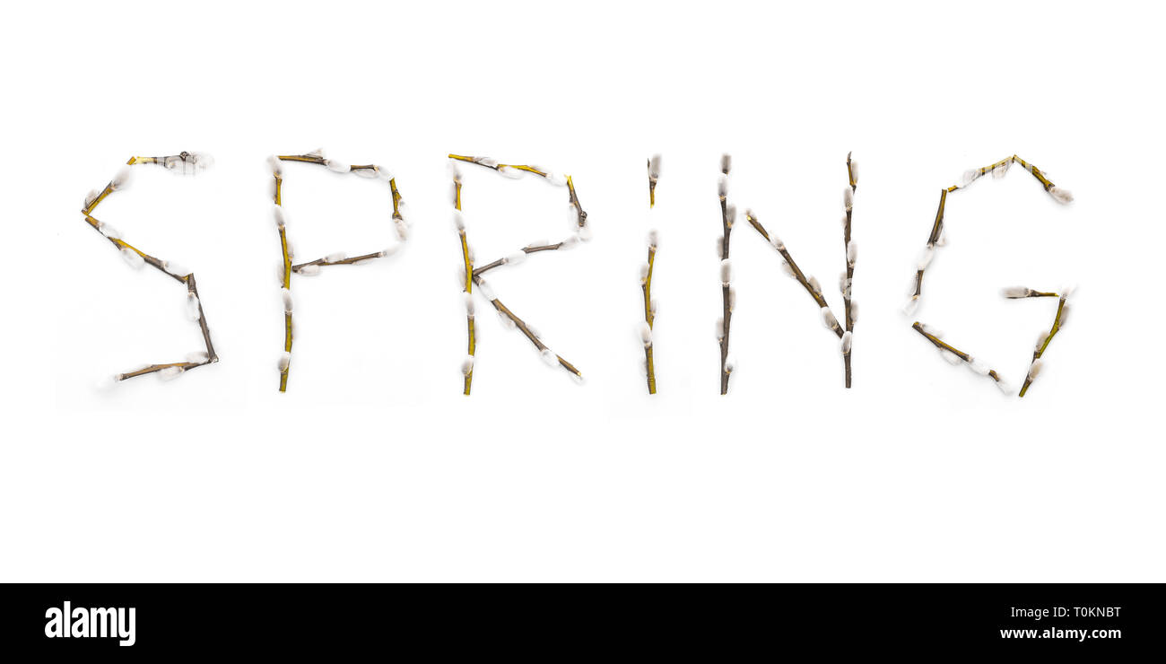 Word from the branches of spring. Letters from willow branches on a ...