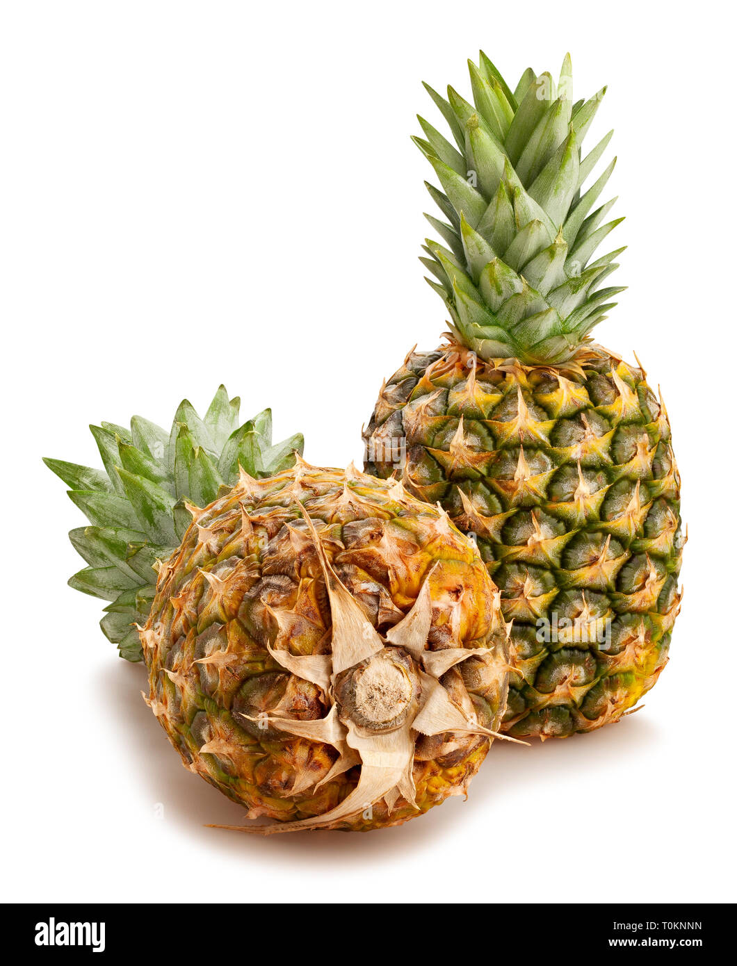 pineapple path isolated Stock Photo - Alamy