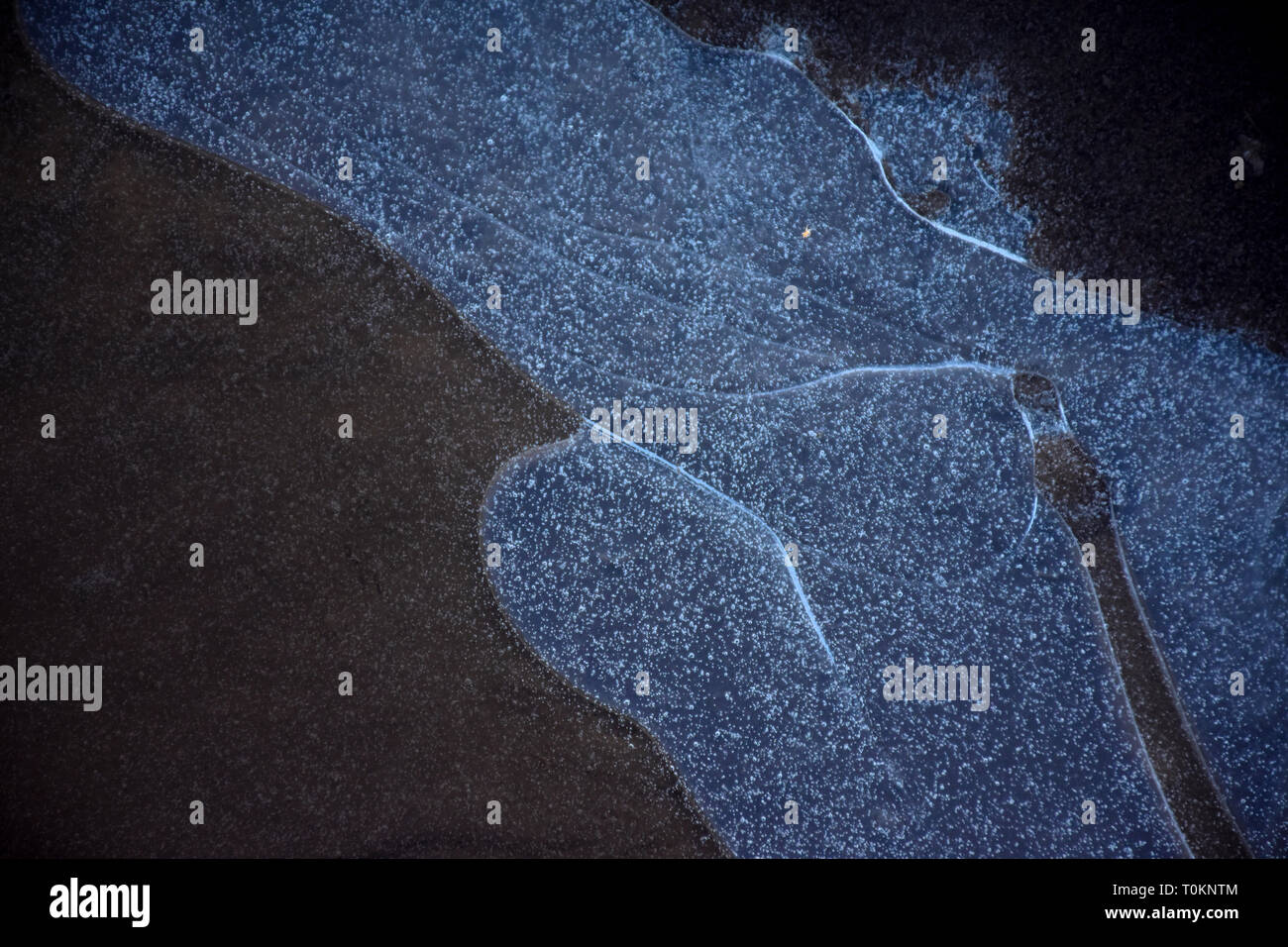 Puddle ice formations Stock Photo - Alamy